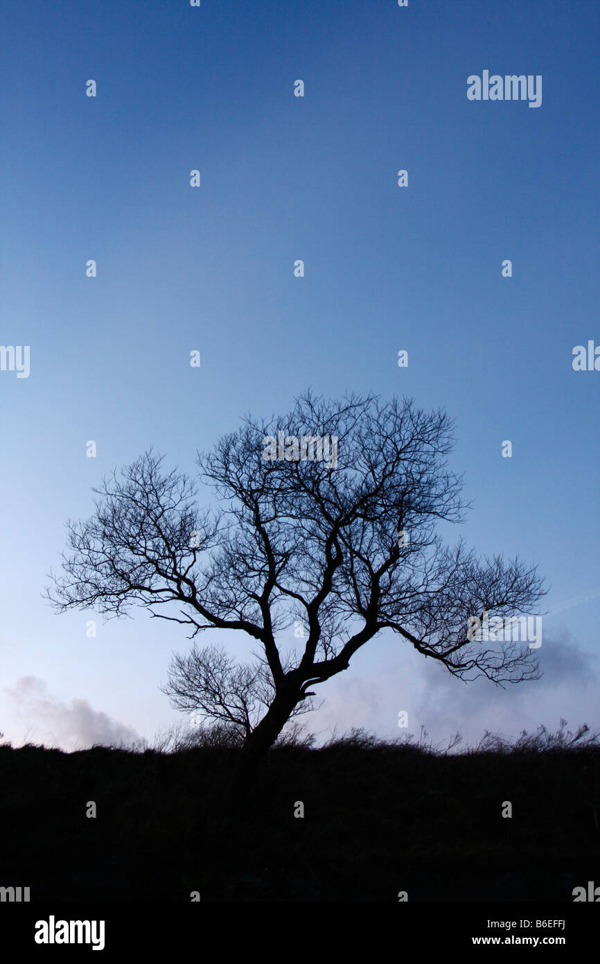 Lone silhouette hi-res stock photography and images - Alamy