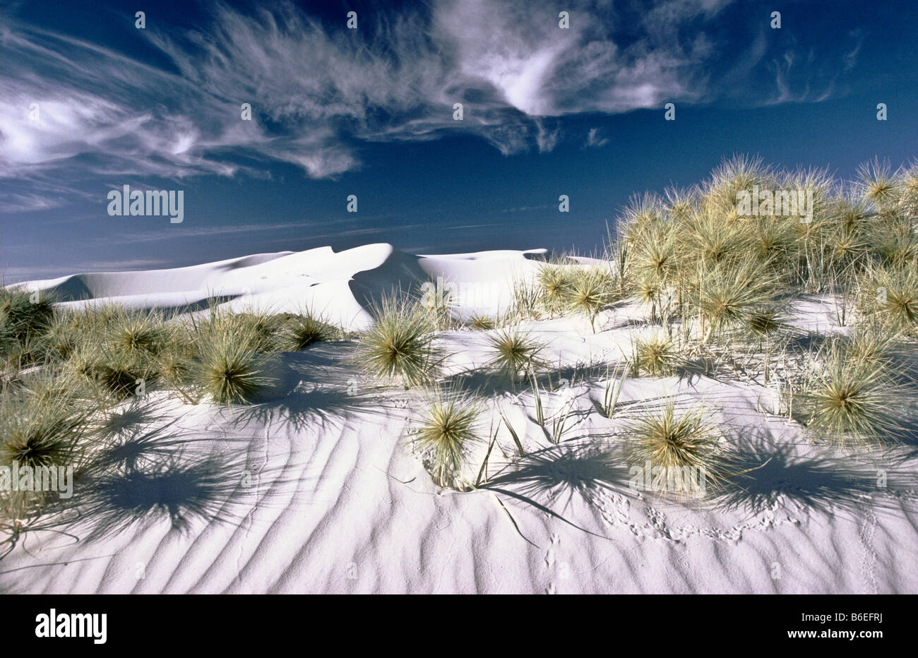 Coastal sand dunes, South Australia Stock Photo - Alamy