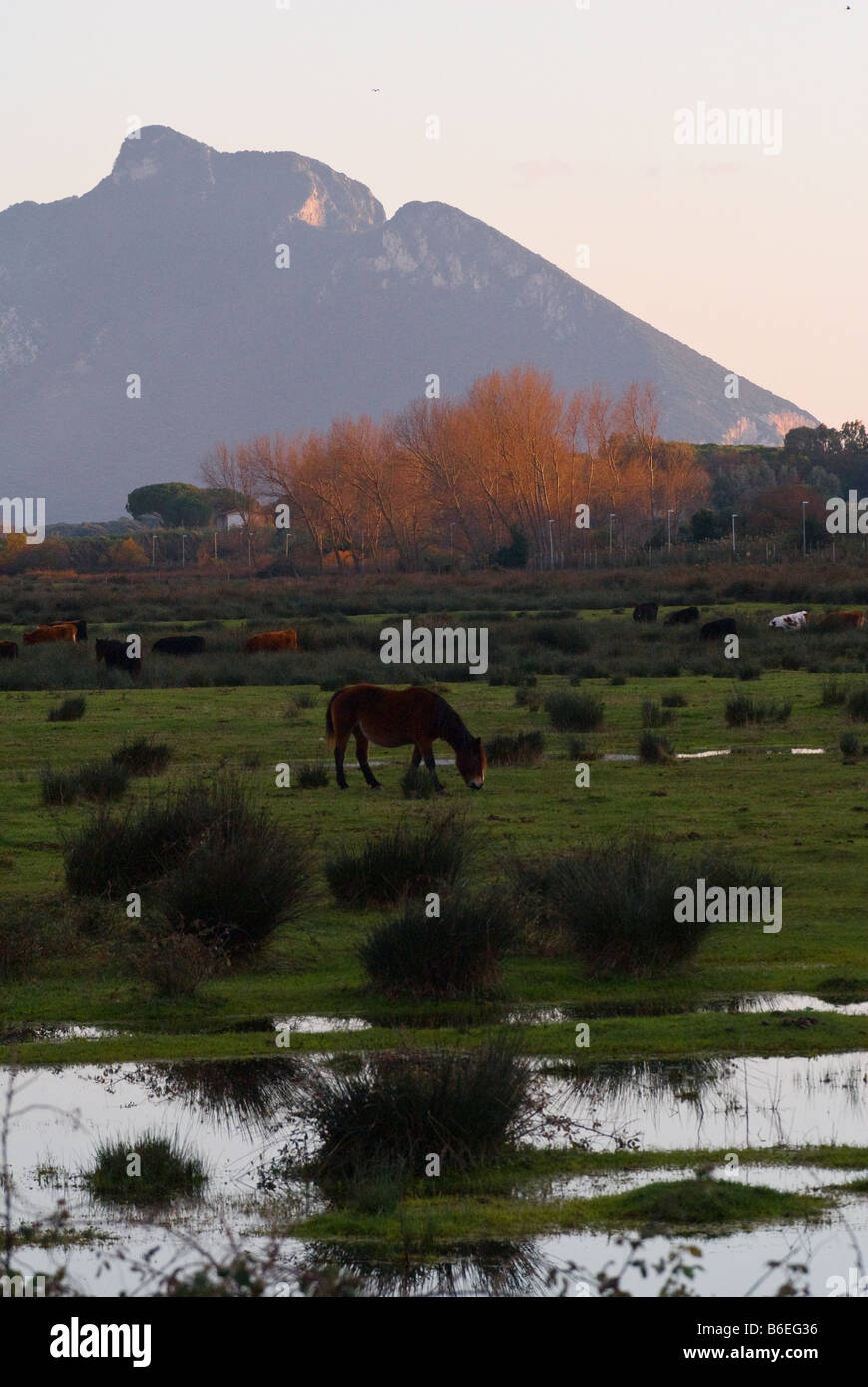 Circeo national park hi-res stock photography and images - Alamy