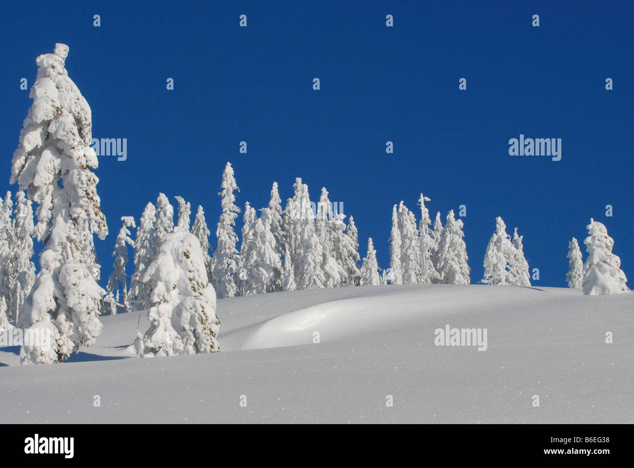 Classic winter scenic Stock Photo - Alamy
