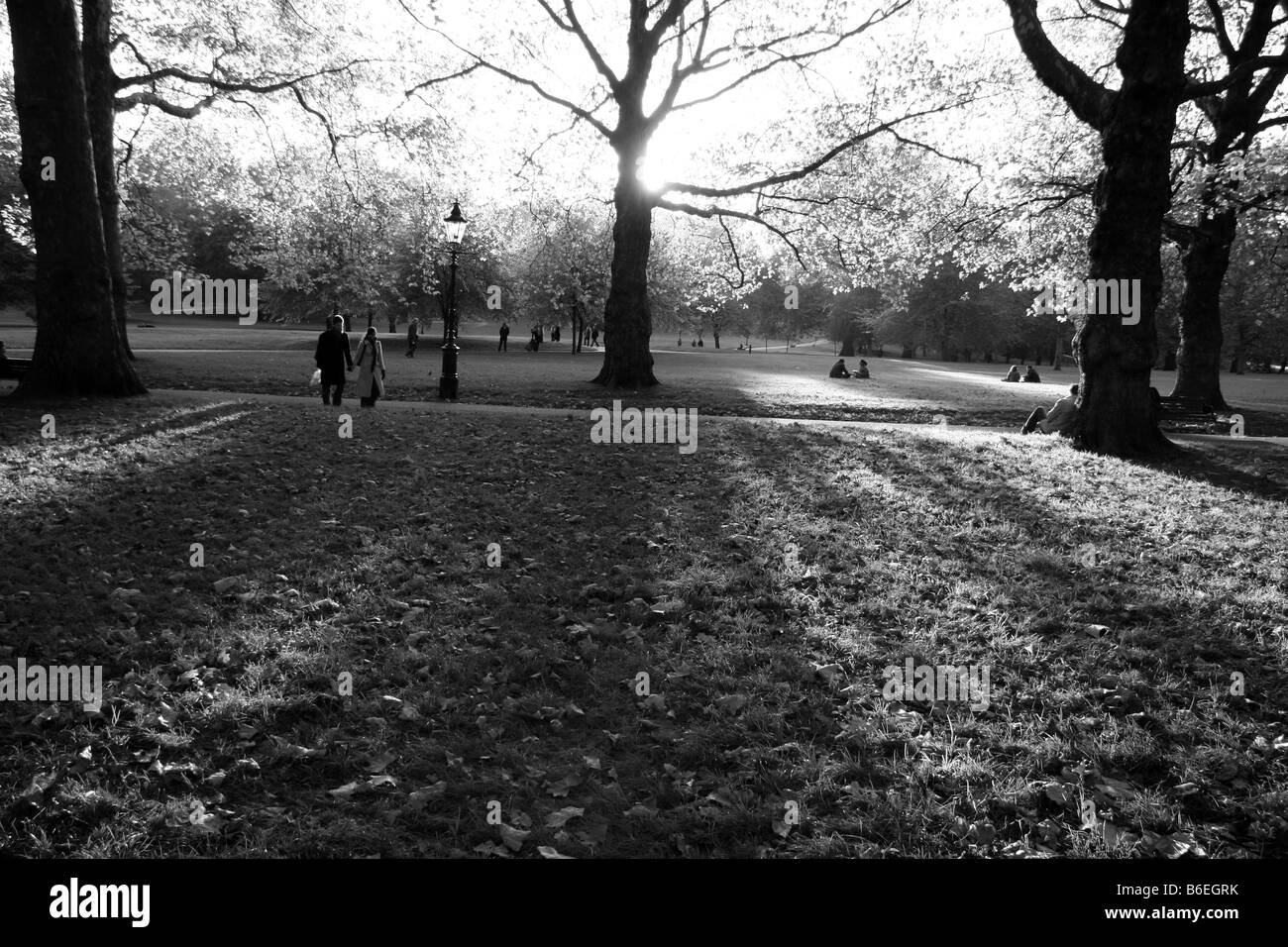 Autumn couple people shadows trees hi-res stock photography and images ...