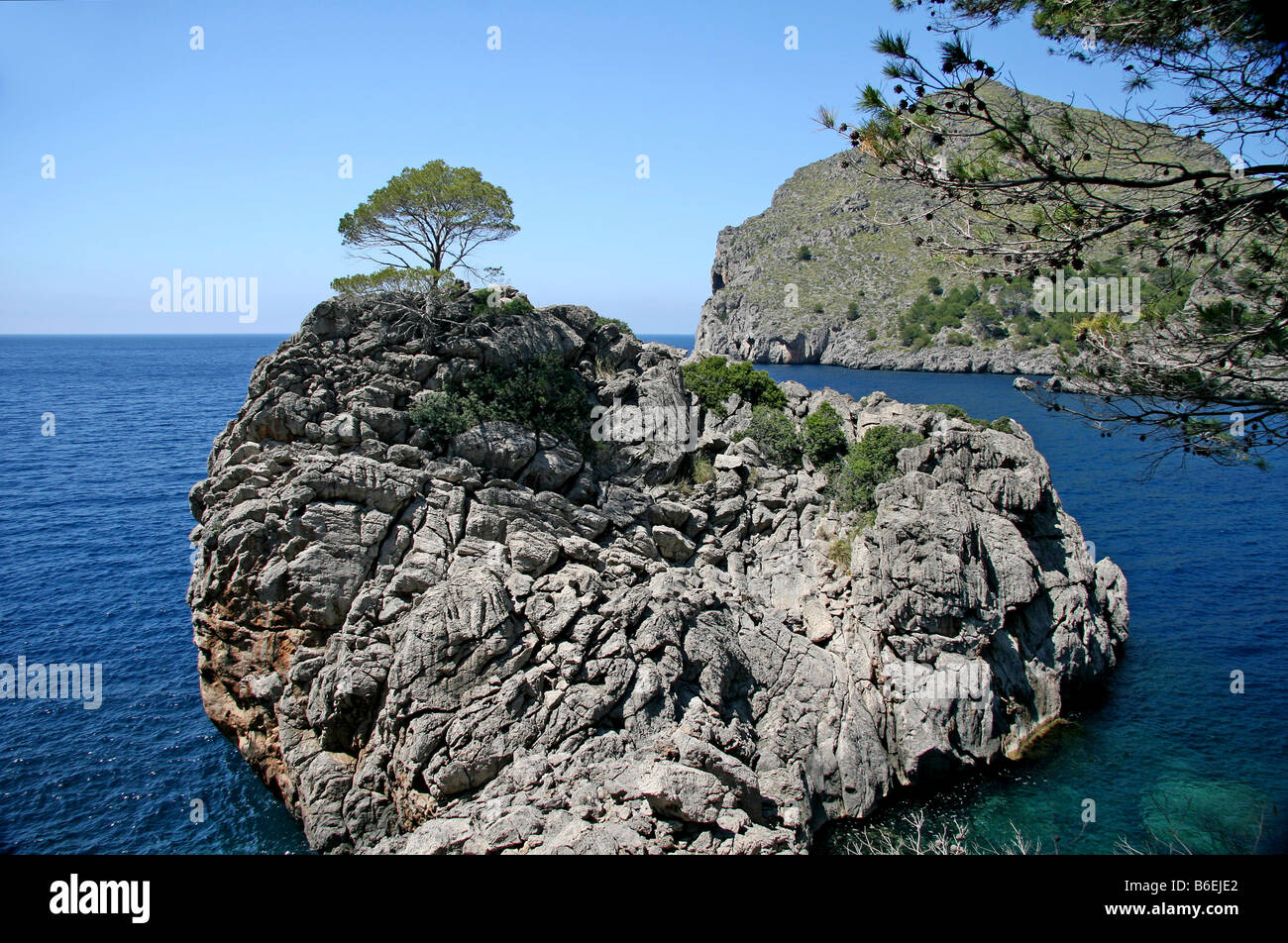 Tree, rocky island, bay, Cala de Sa Calobra, protected landscape area ...