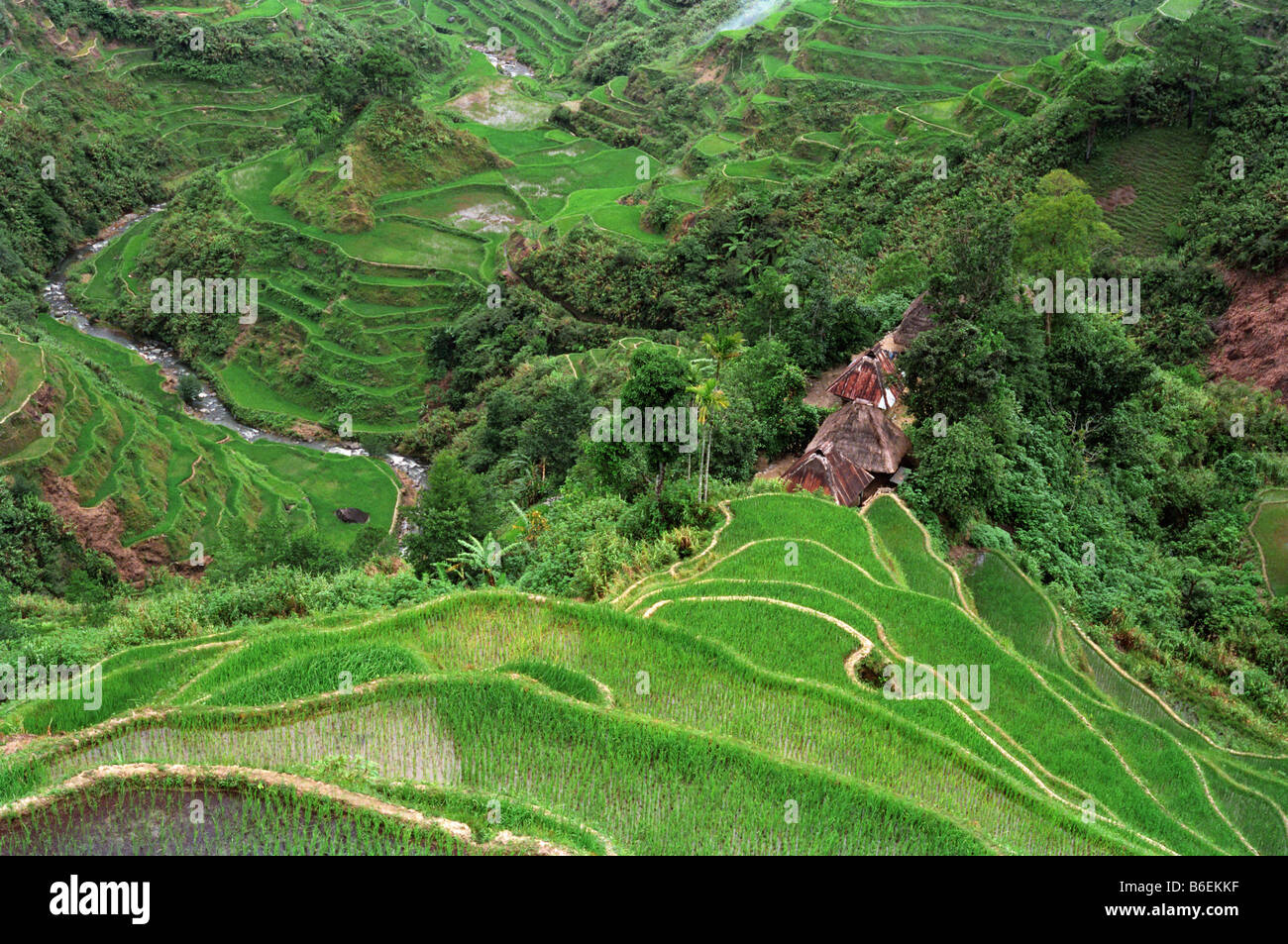 Banawe rice terraces hi-res stock photography and images - Alamy