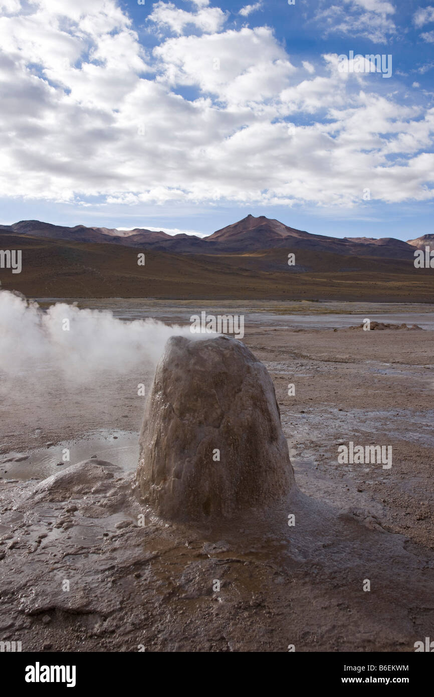 El Tatio geysers, Atacama Desert, Chile Stock Photo - Alamy
