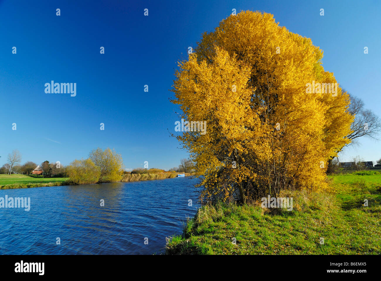 Autumn landscape with trees on the Dove Elbe river in Reitbrook ...