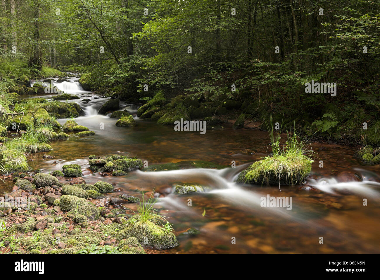 Stream landscape hi-res stock photography and images - Alamy