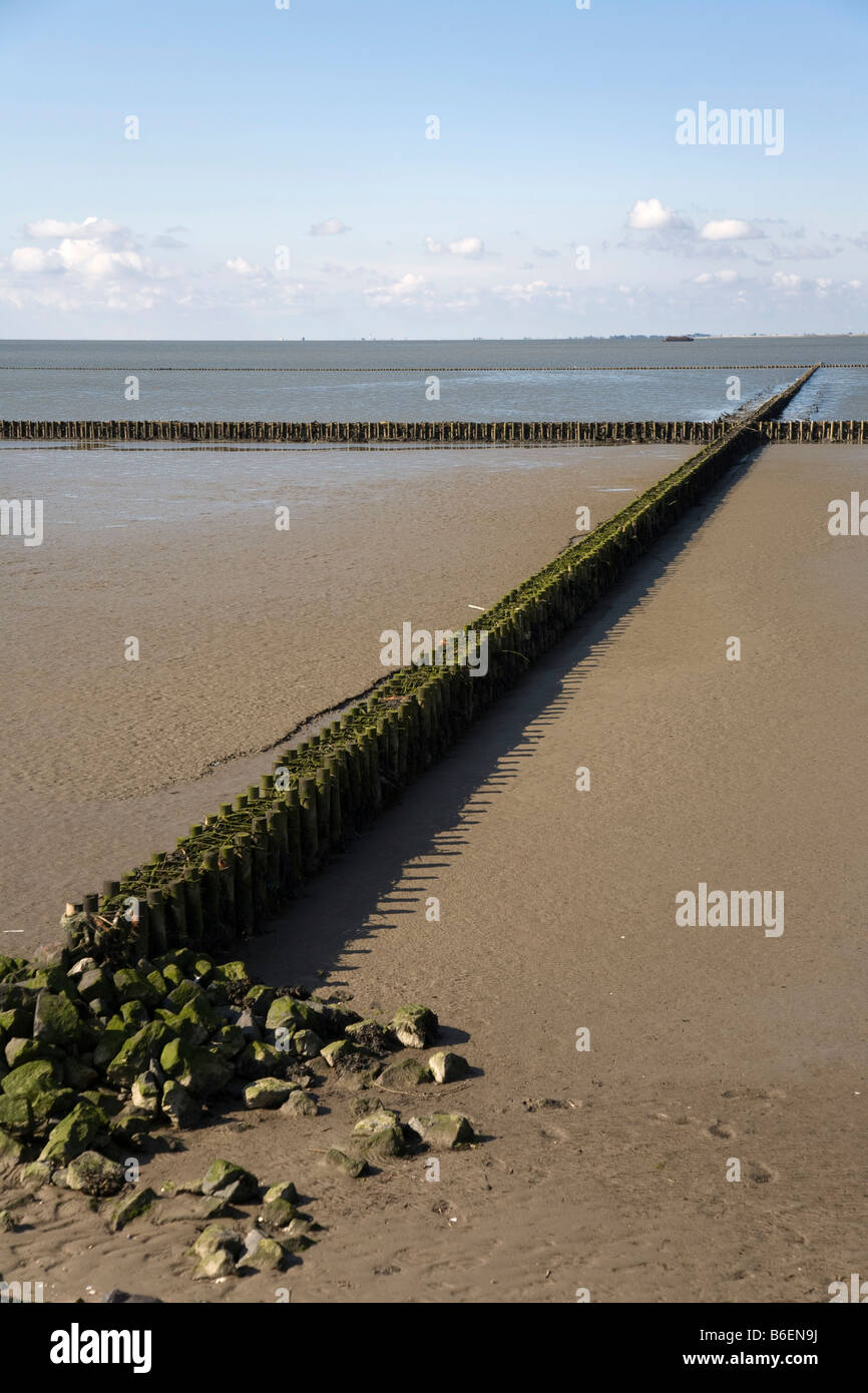 Groynes for land reclamation near Luettmoorsiel, North Sea, Northern ...