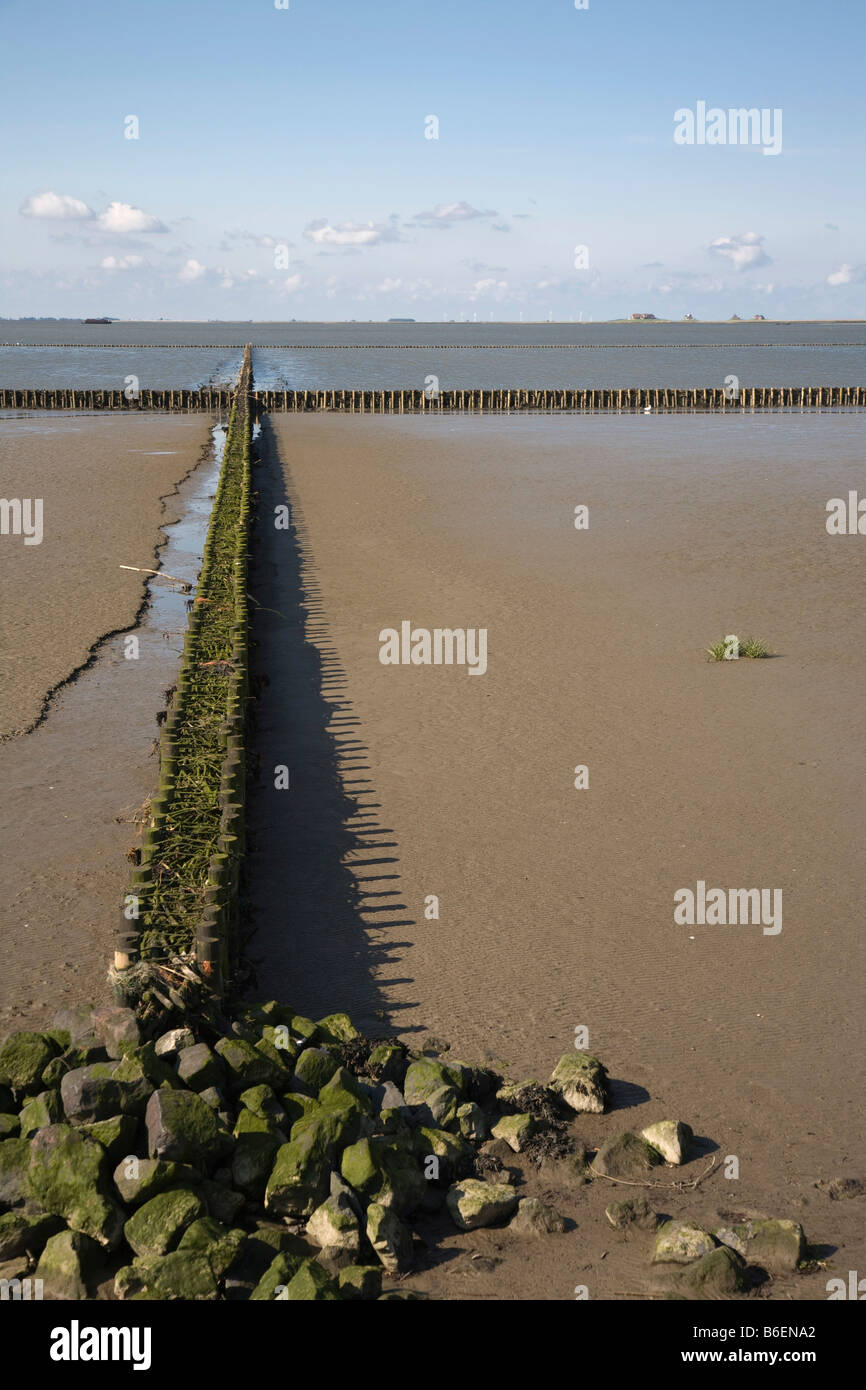 Groynes for land reclamation near Luettmoorsiel, North Sea, Northern ...