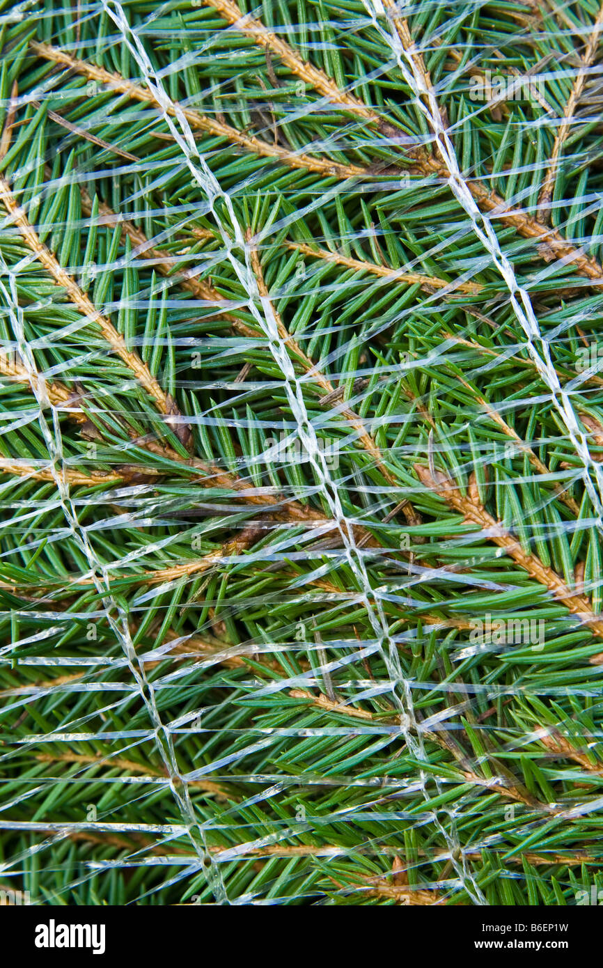 Netting christmas tree hi-res stock photography and images - Alamy
