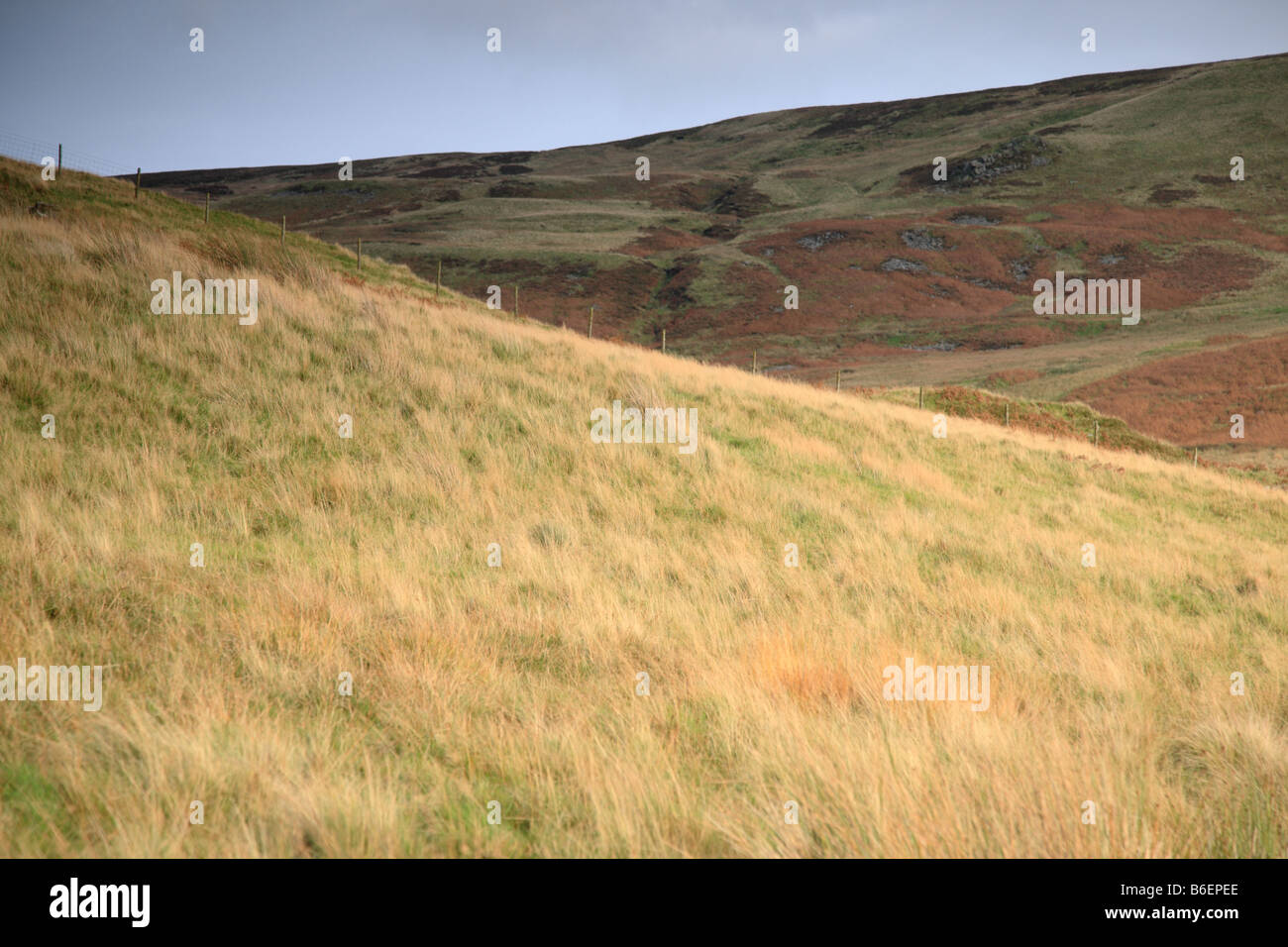 Typical english countryside hi-res stock photography and images - Alamy