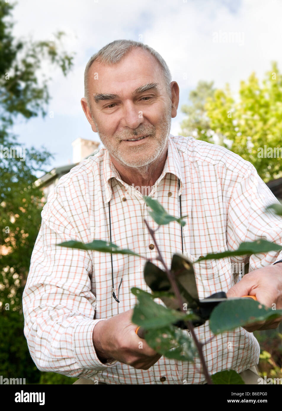Man in hedge hi-res stock photography and images - Alamy