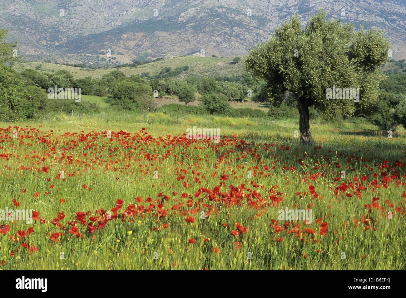 Samothrace island hi-res stock photography and images - Alamy