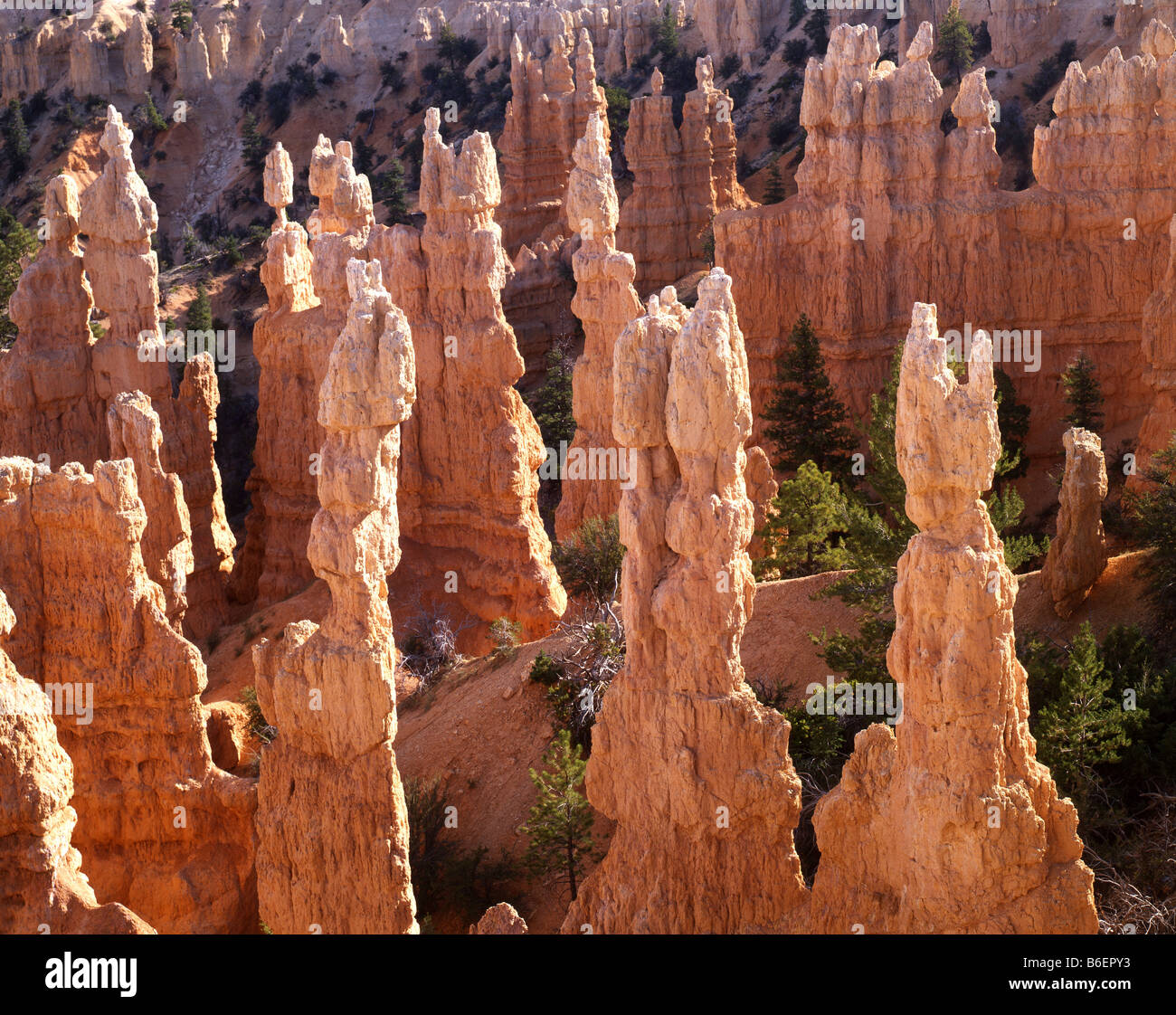 Bryce National Park, Utah Stock Photo - Alamy