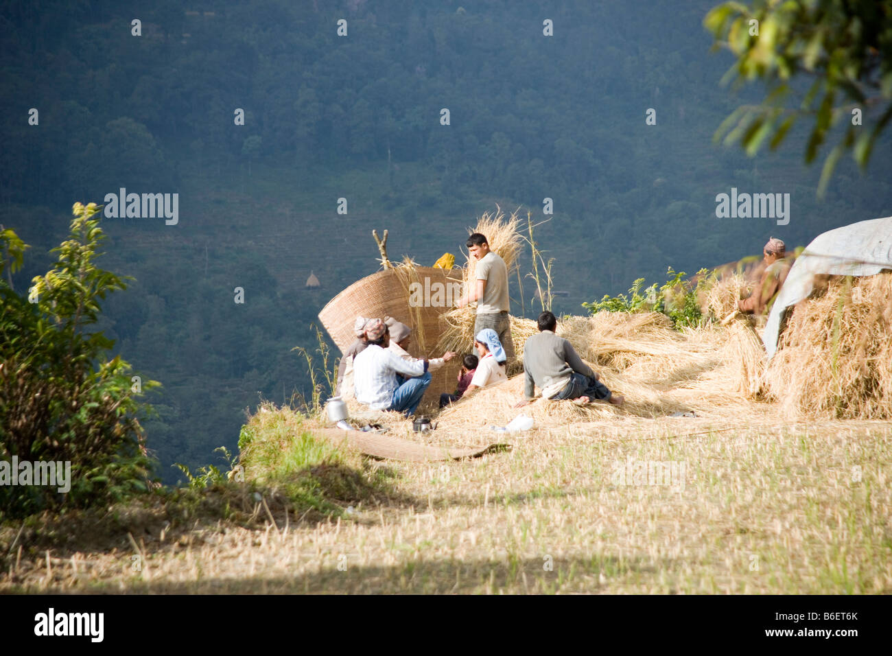 Nepalese farm hi-res stock photography and images - Alamy