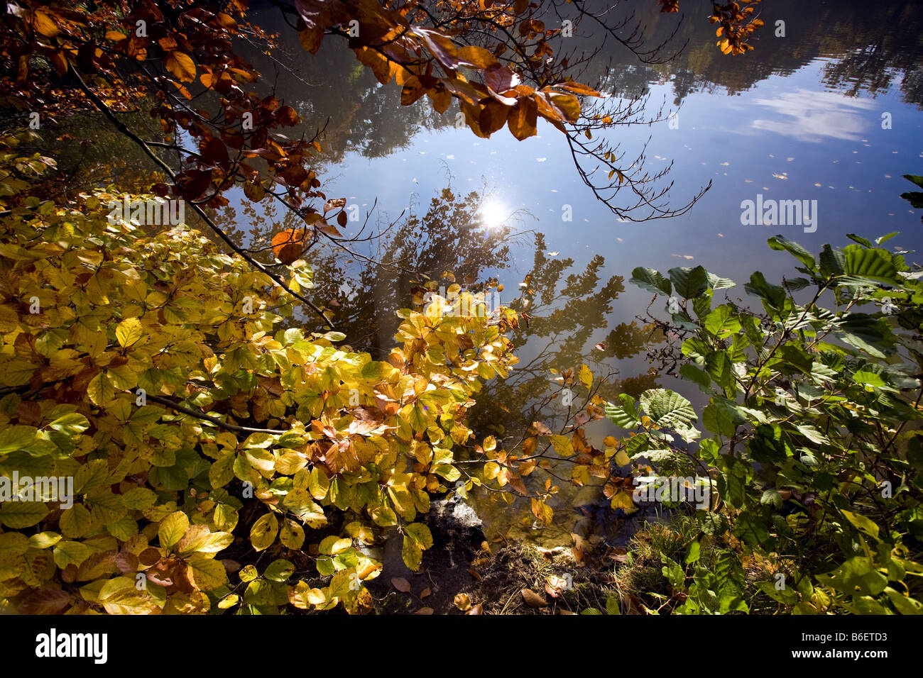 autumn at the lake of the palace ground Greiz, Germany, Thueringen ...