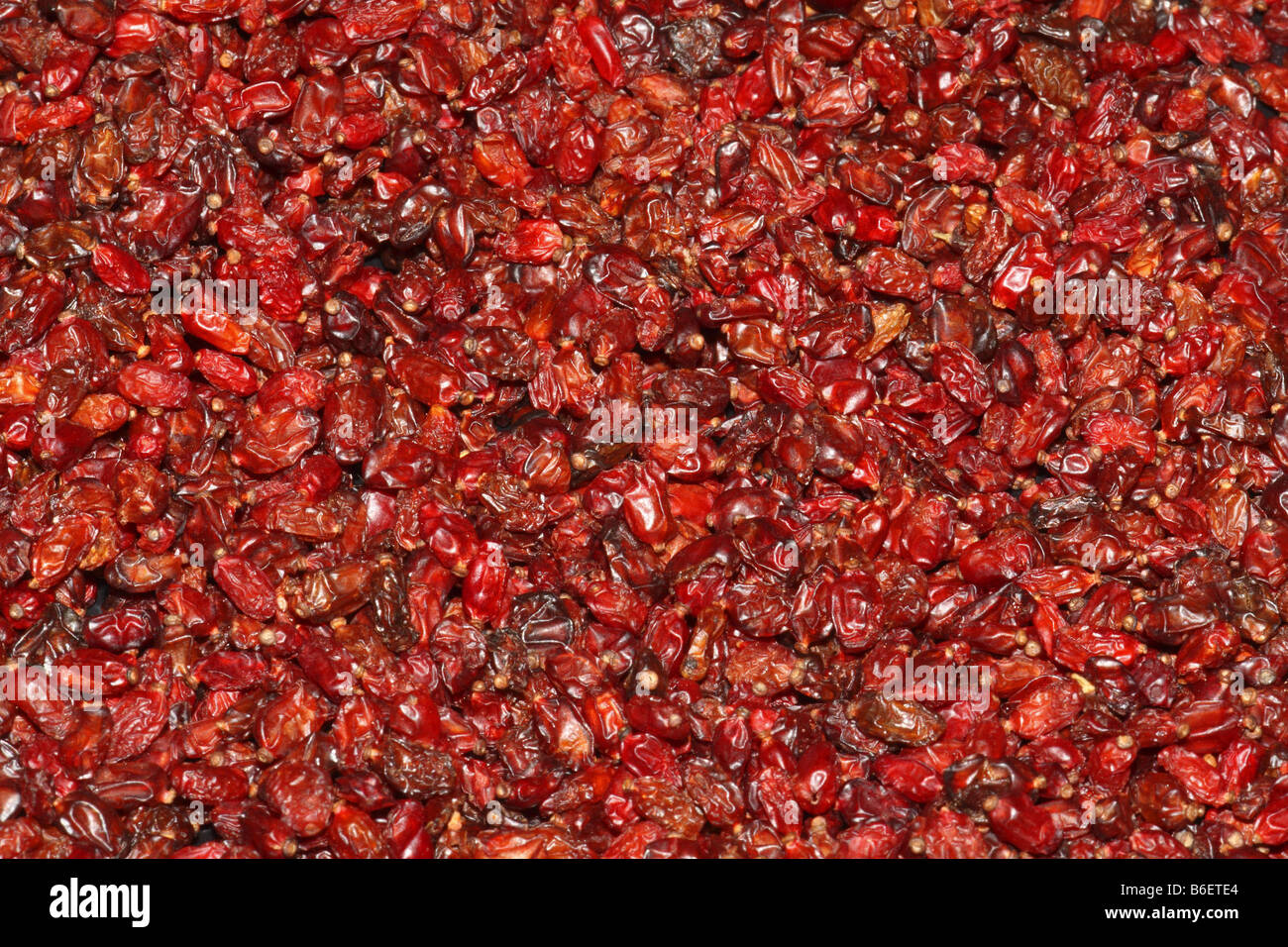 Botany berberis vulgaris hi-res stock photography and images - Alamy