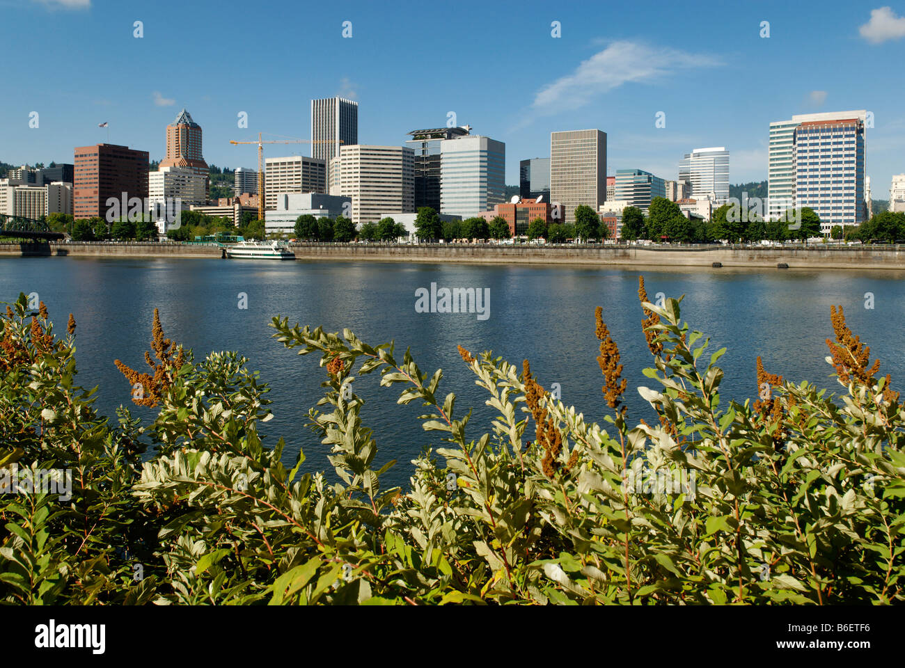 Willamette River, high rises in Portland, Oregon, USA Stock Photo - Alamy