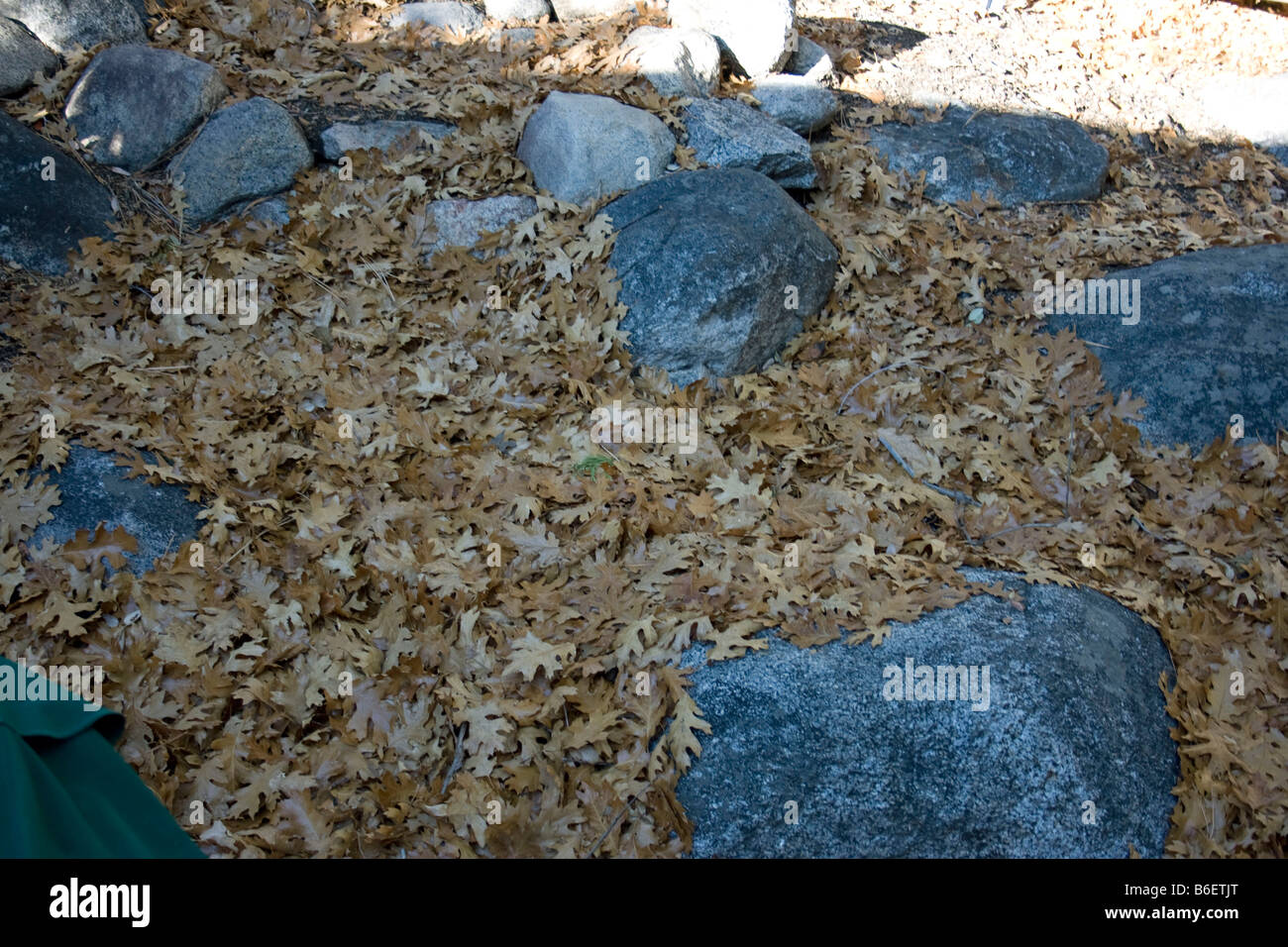 The remains of the fall season are apparent dry creek bottom Stock ...