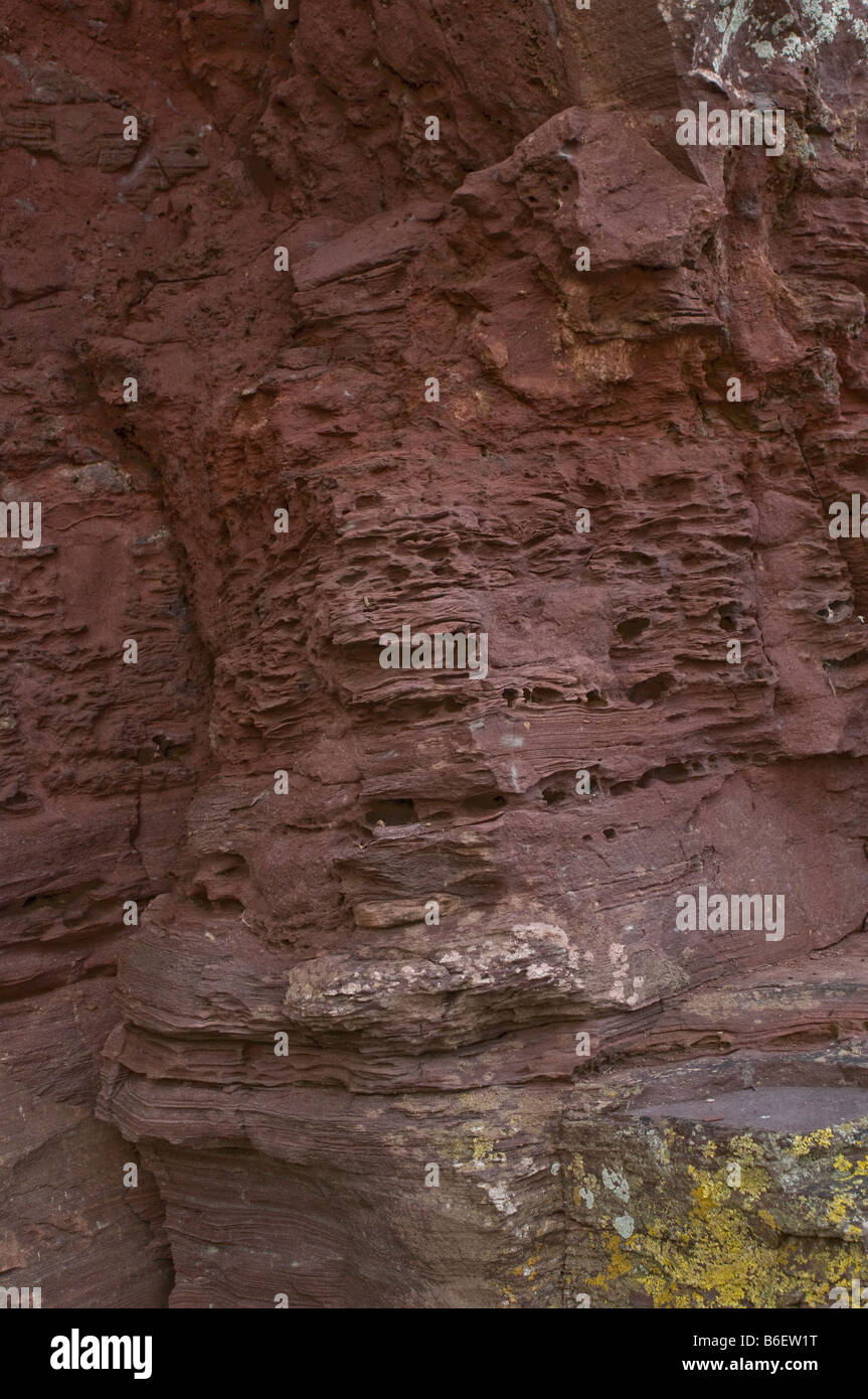 Devonian red sandstone hi-res stock photography and images - Alamy