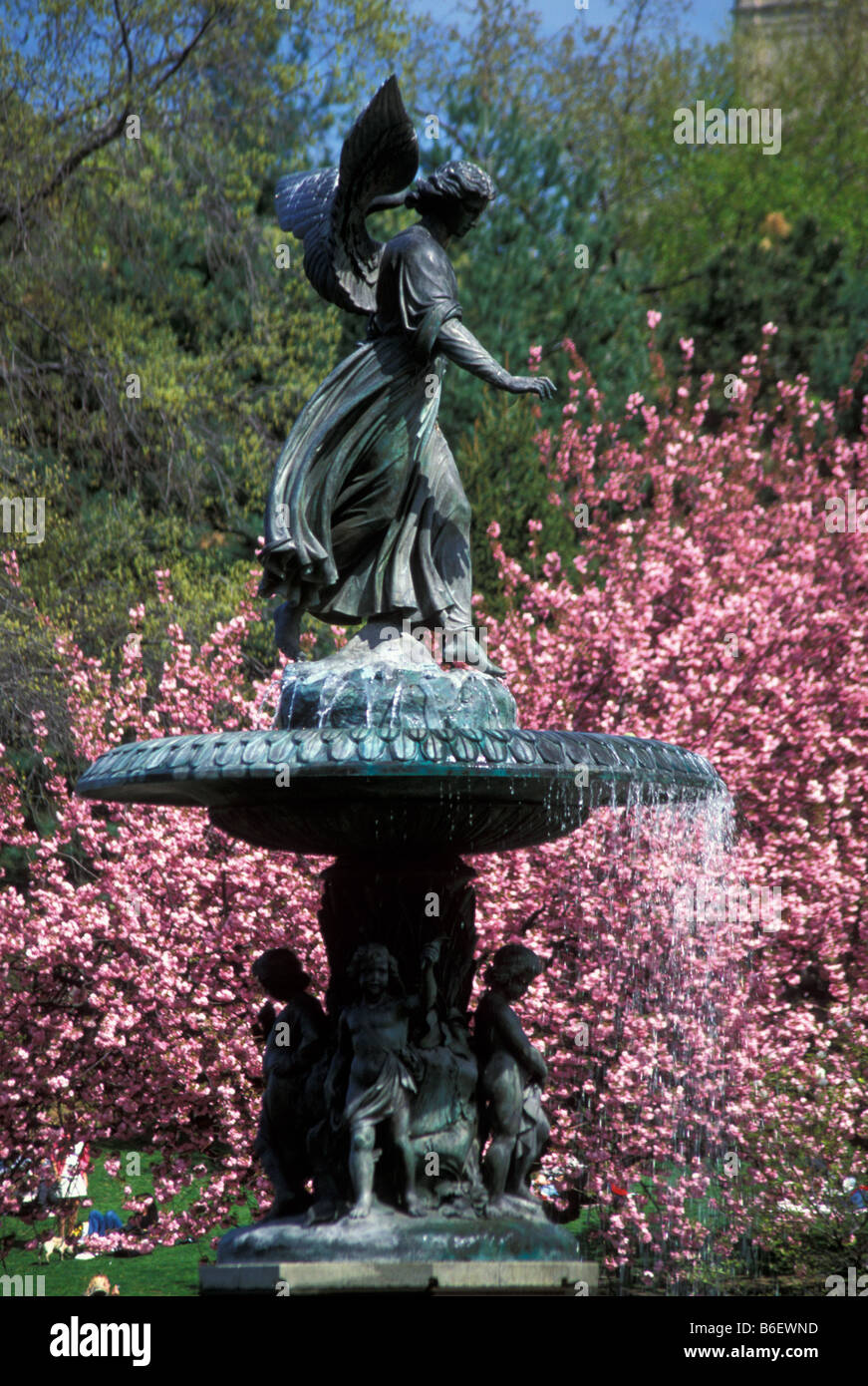 Emma wings hi-res stock photography and images - Alamy