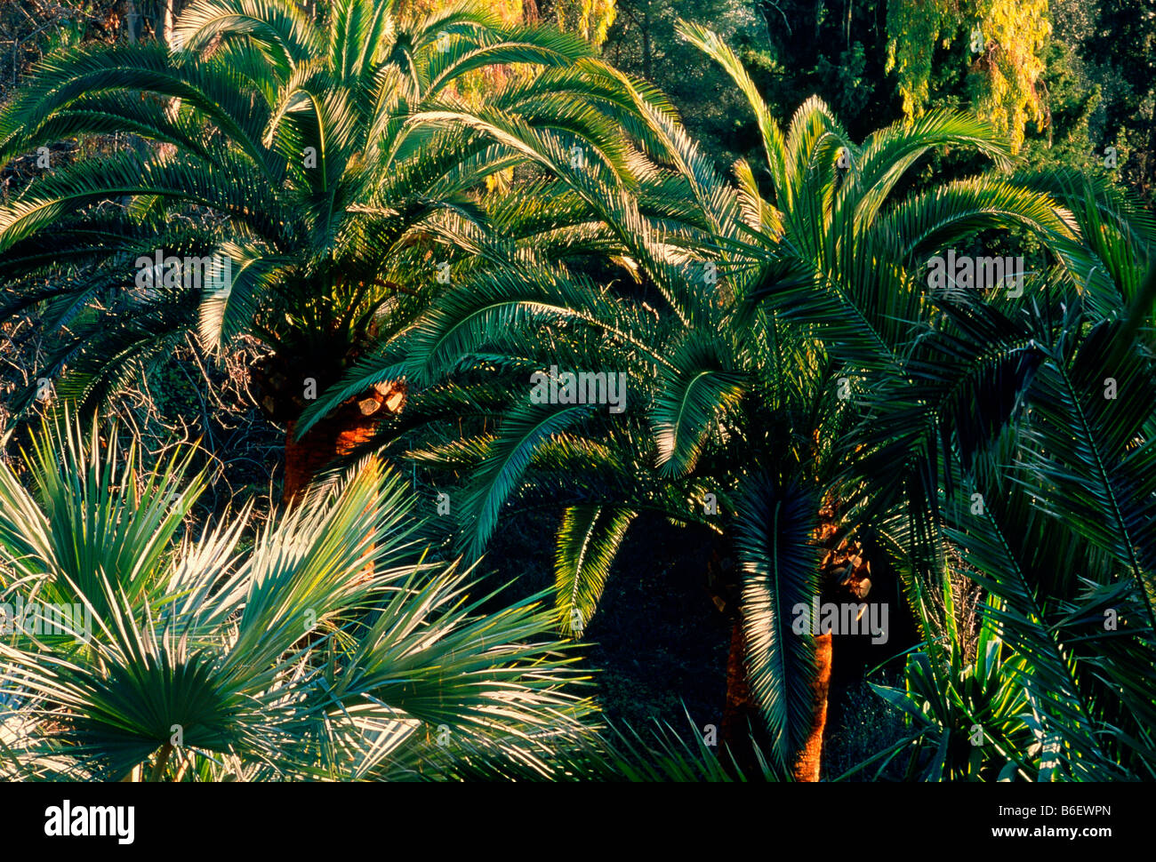 Val rameh hi-res stock photography and images - Alamy