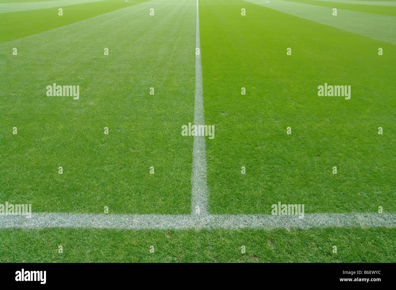 soccer field close ups of markings Stock Photo - Alamy
