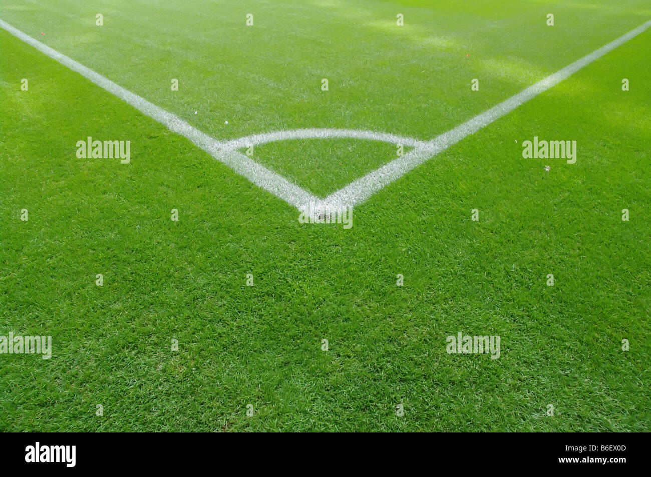soccer field close ups of markings Stock Photo - Alamy