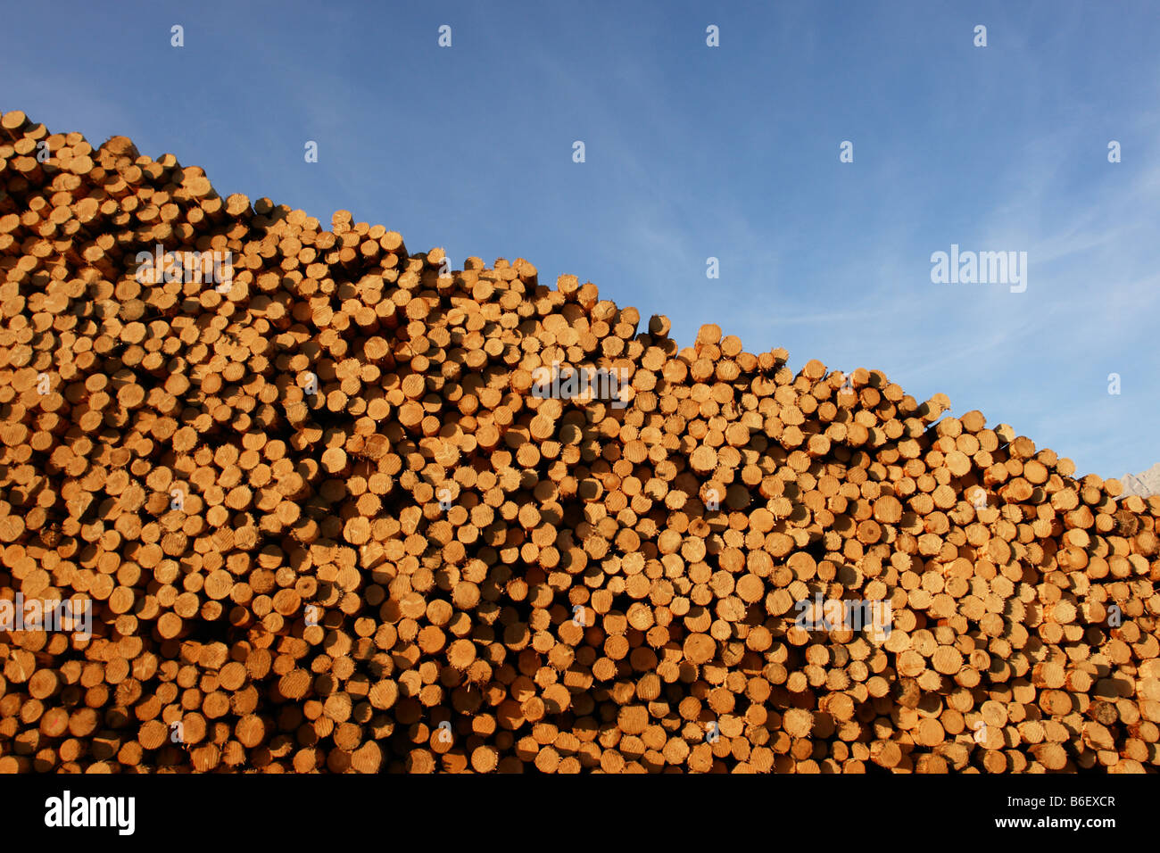 pile stack of logs outside Stock Photo - Alamy