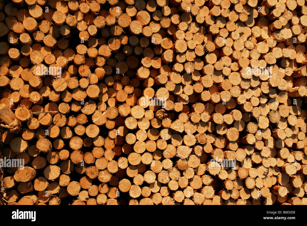 pile stack of logs outside Stock Photo - Alamy