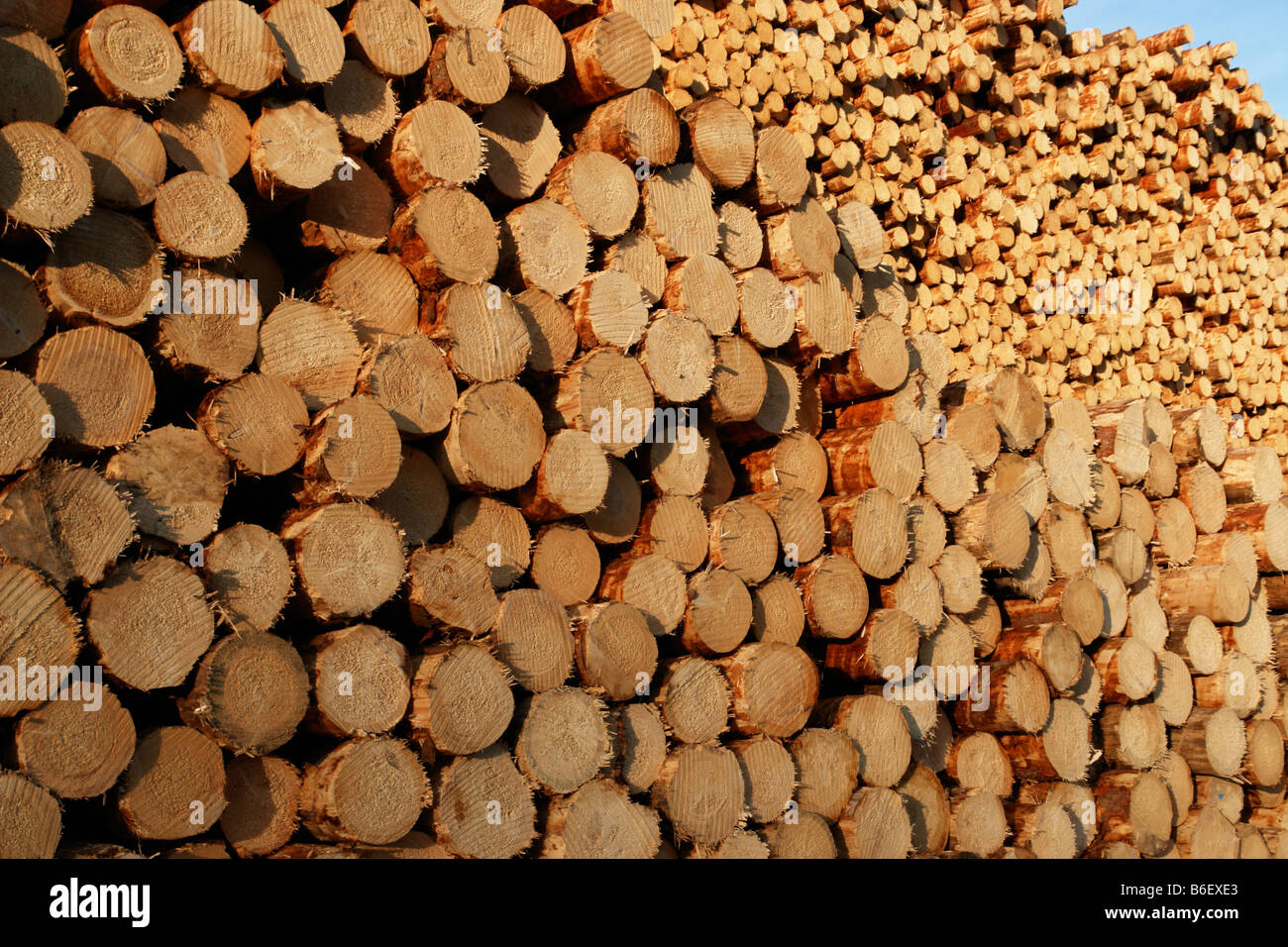 pile stack of logs outside Stock Photo - Alamy