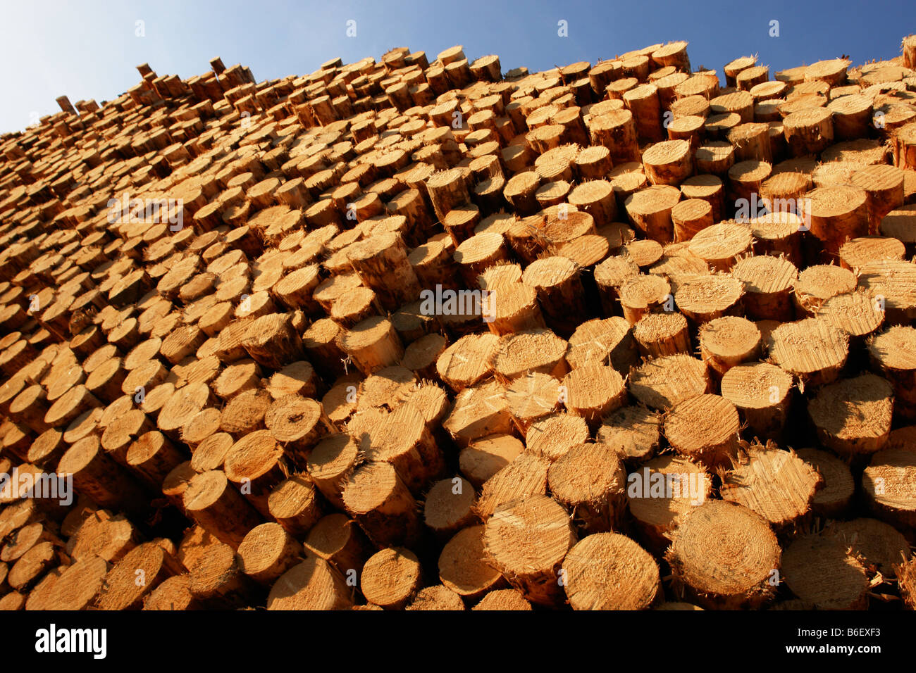 pile stack of logs outside Stock Photo - Alamy