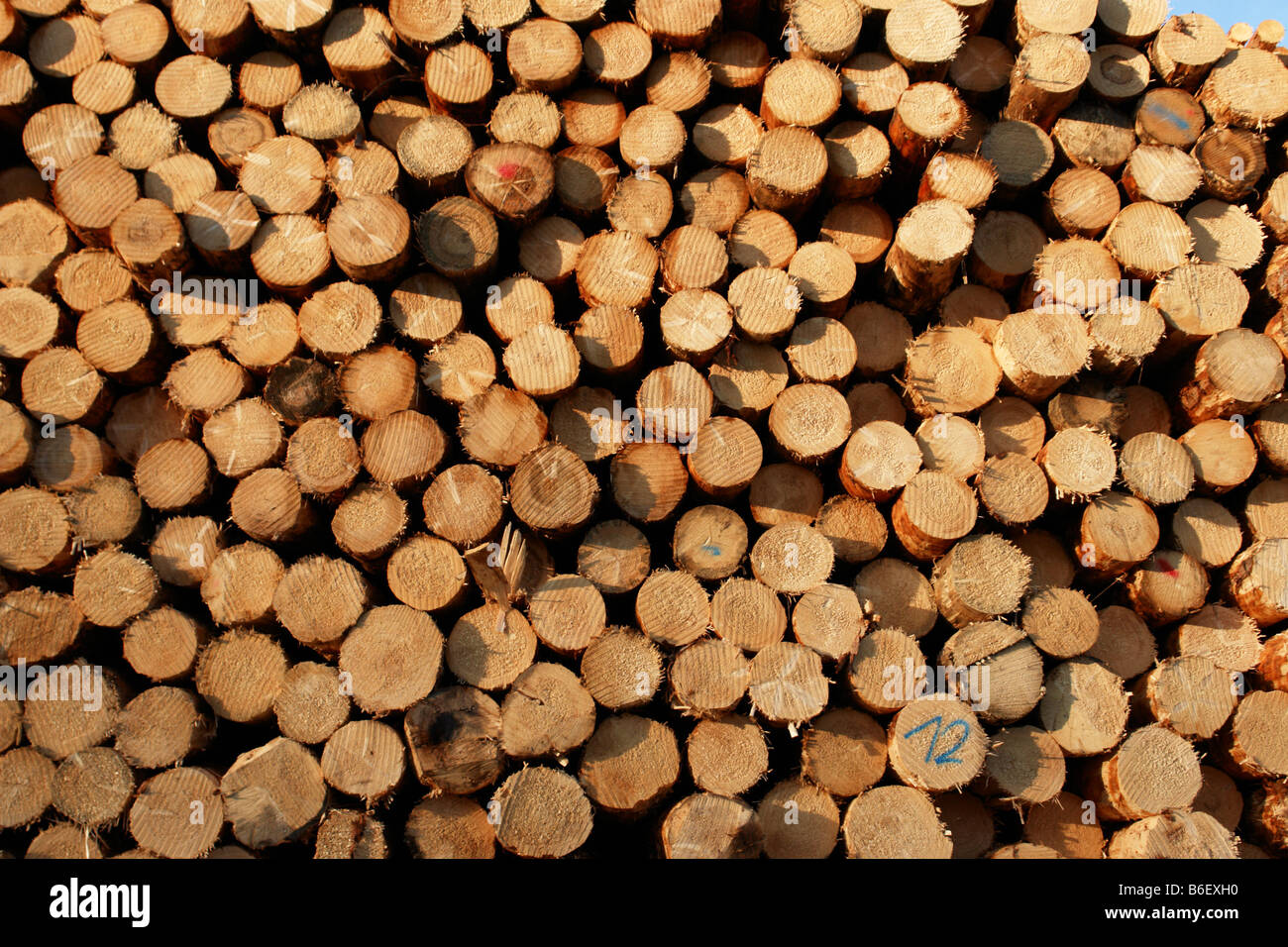 pile stack of logs outside Stock Photo - Alamy