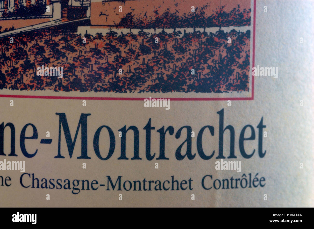 Montrachet hi-res stock photography and images - Alamy