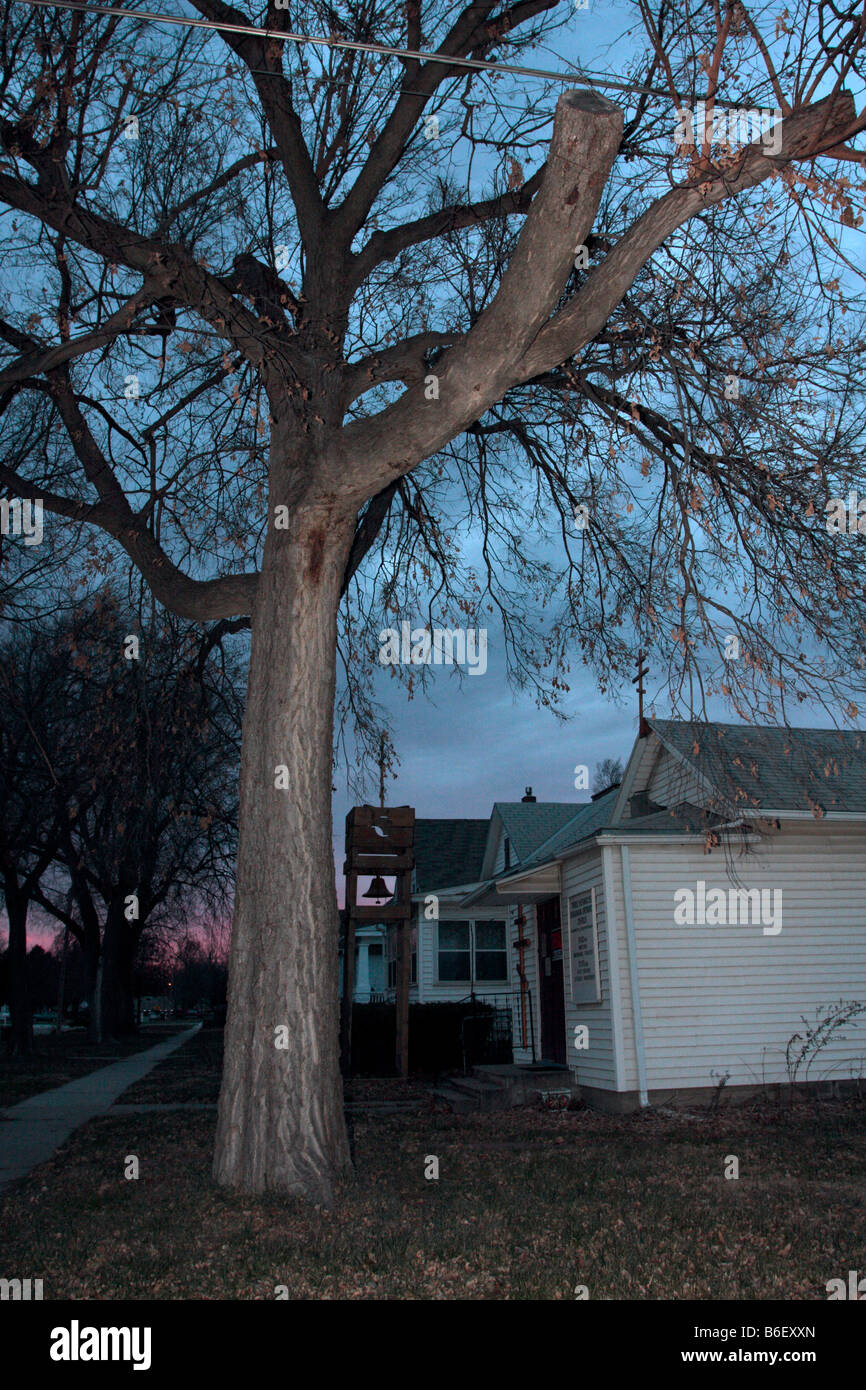 Russian elm hi-res stock photography and images - Alamy