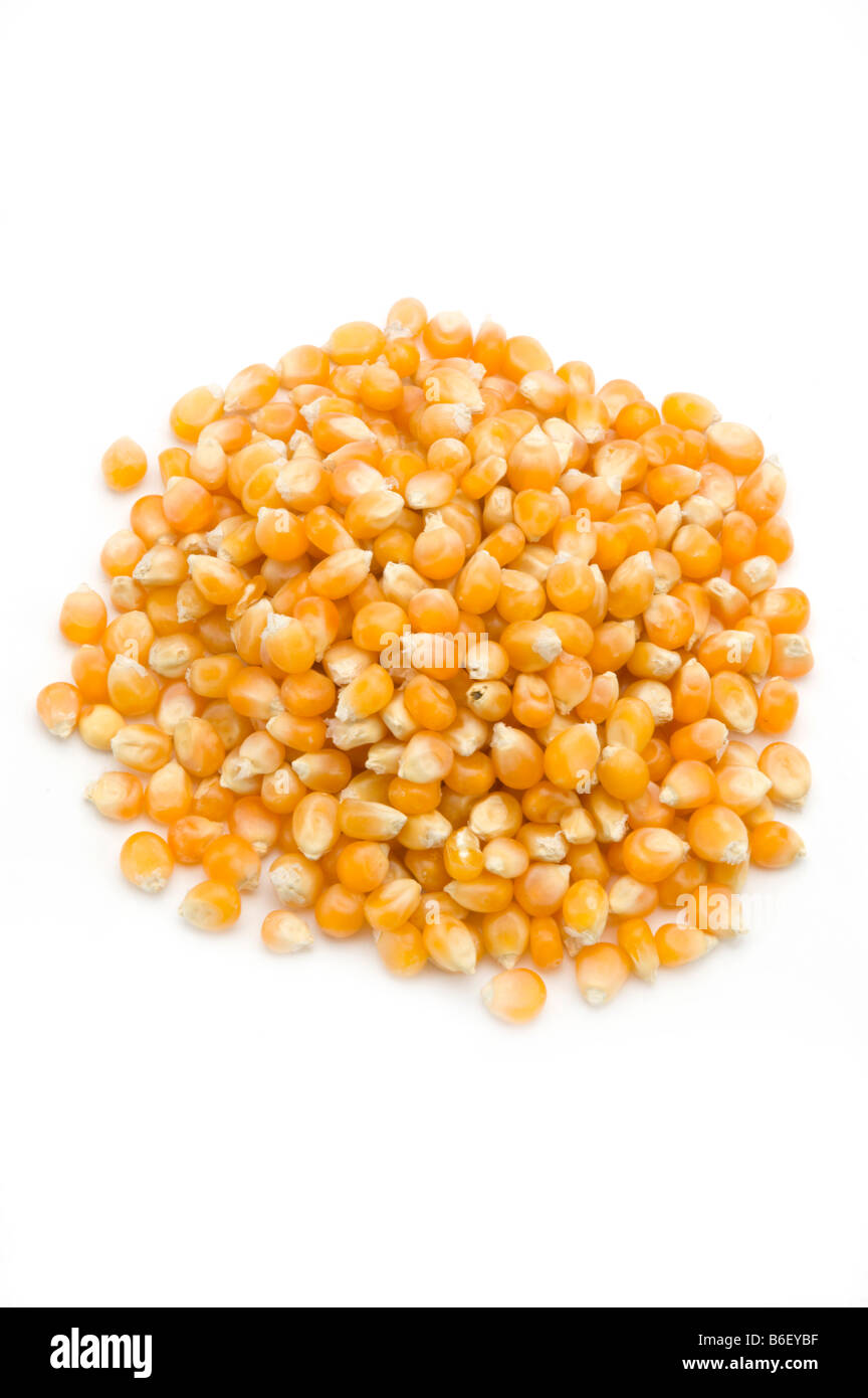 Corn kernels on white Stock Photo - Alamy