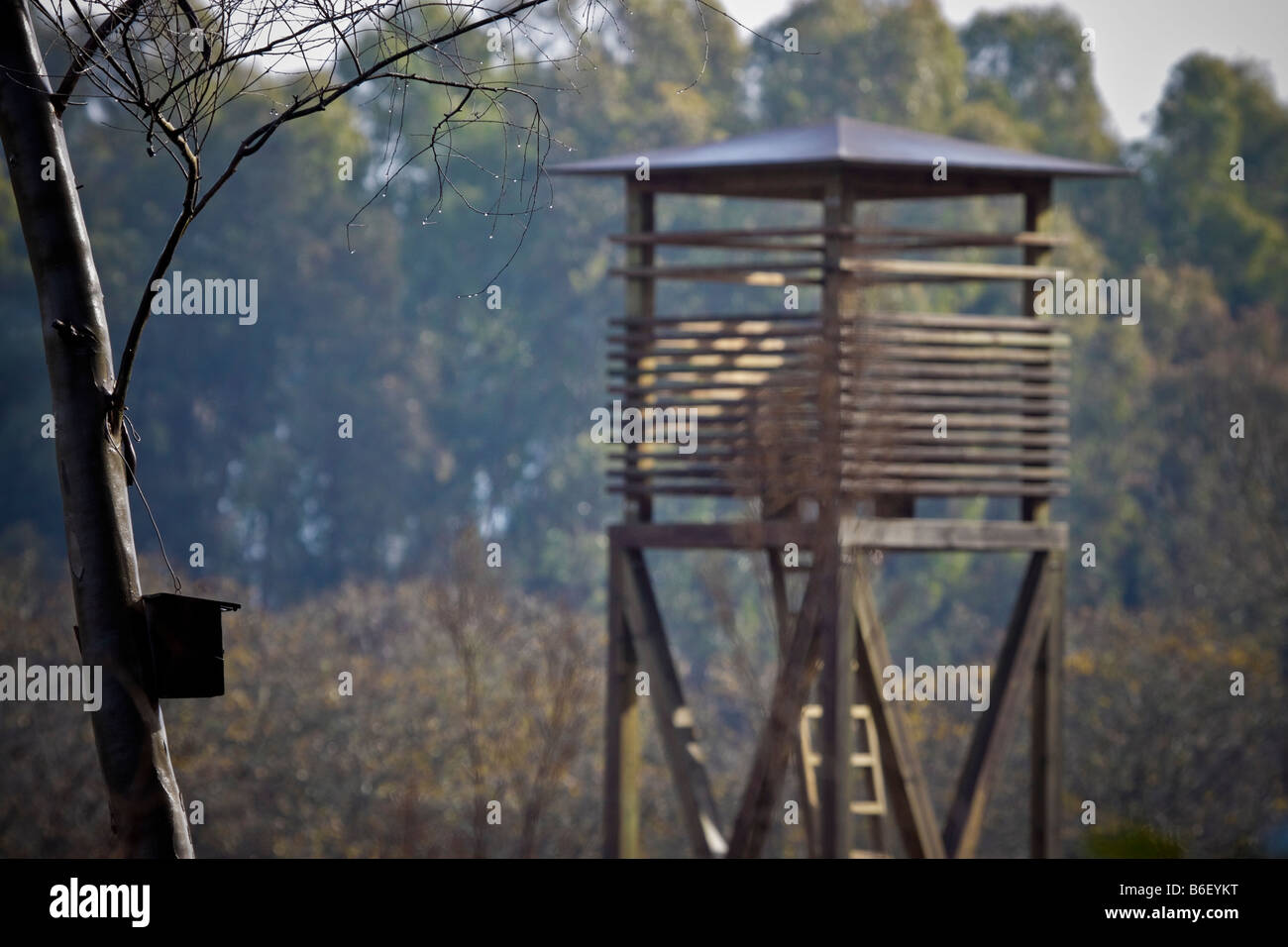 Artificial nest bird observation tower hi-res stock photography and ...