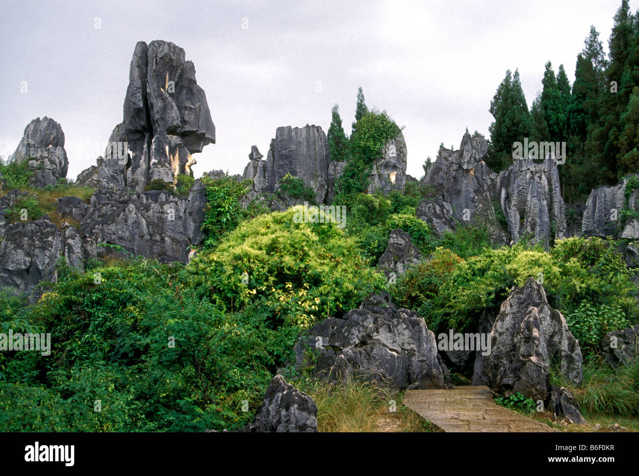 karst, limestone, limestone formation, rock formation, Shilin Stone ...