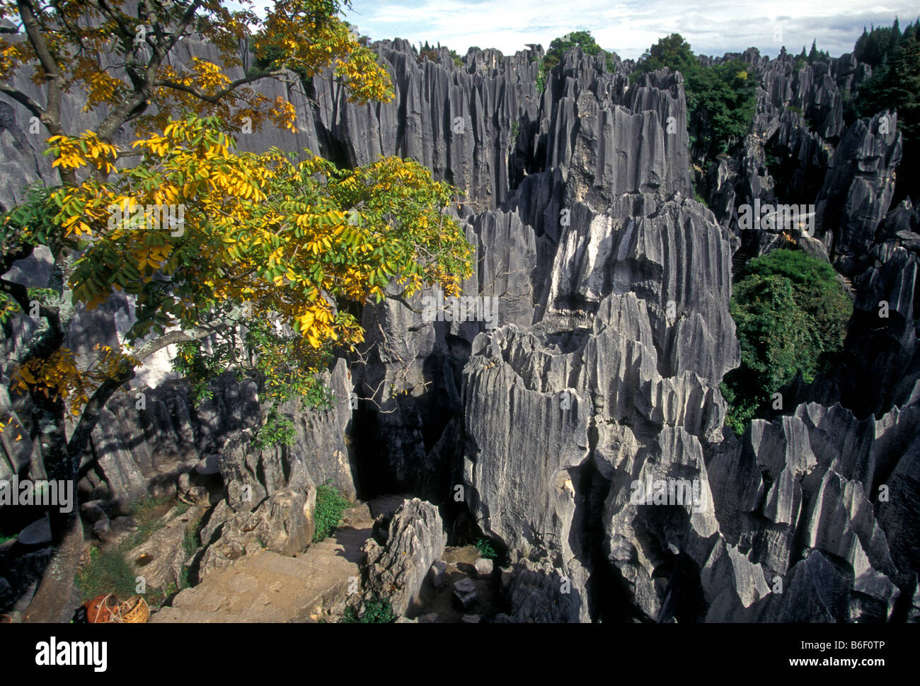 karst, limestone, limestone formation, rock formation, Shilin Stone ...