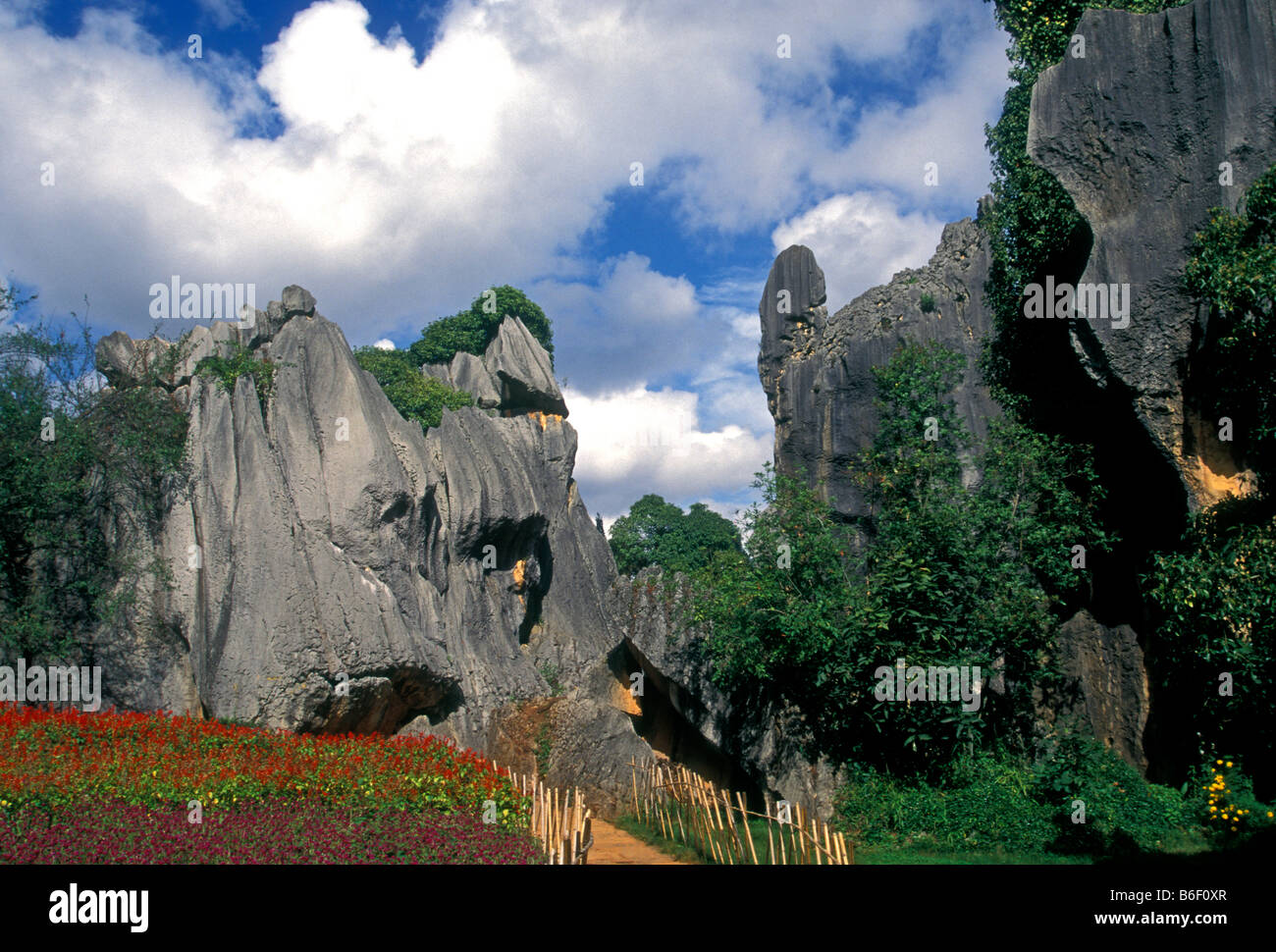 karst, limestone, limestone formation, rock formation, Shilin Stone ...