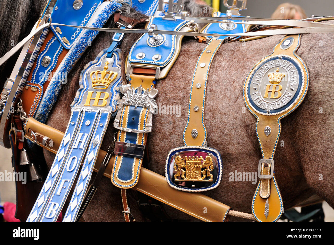 Beautiful horses harness during the traditional costume parade at the ...