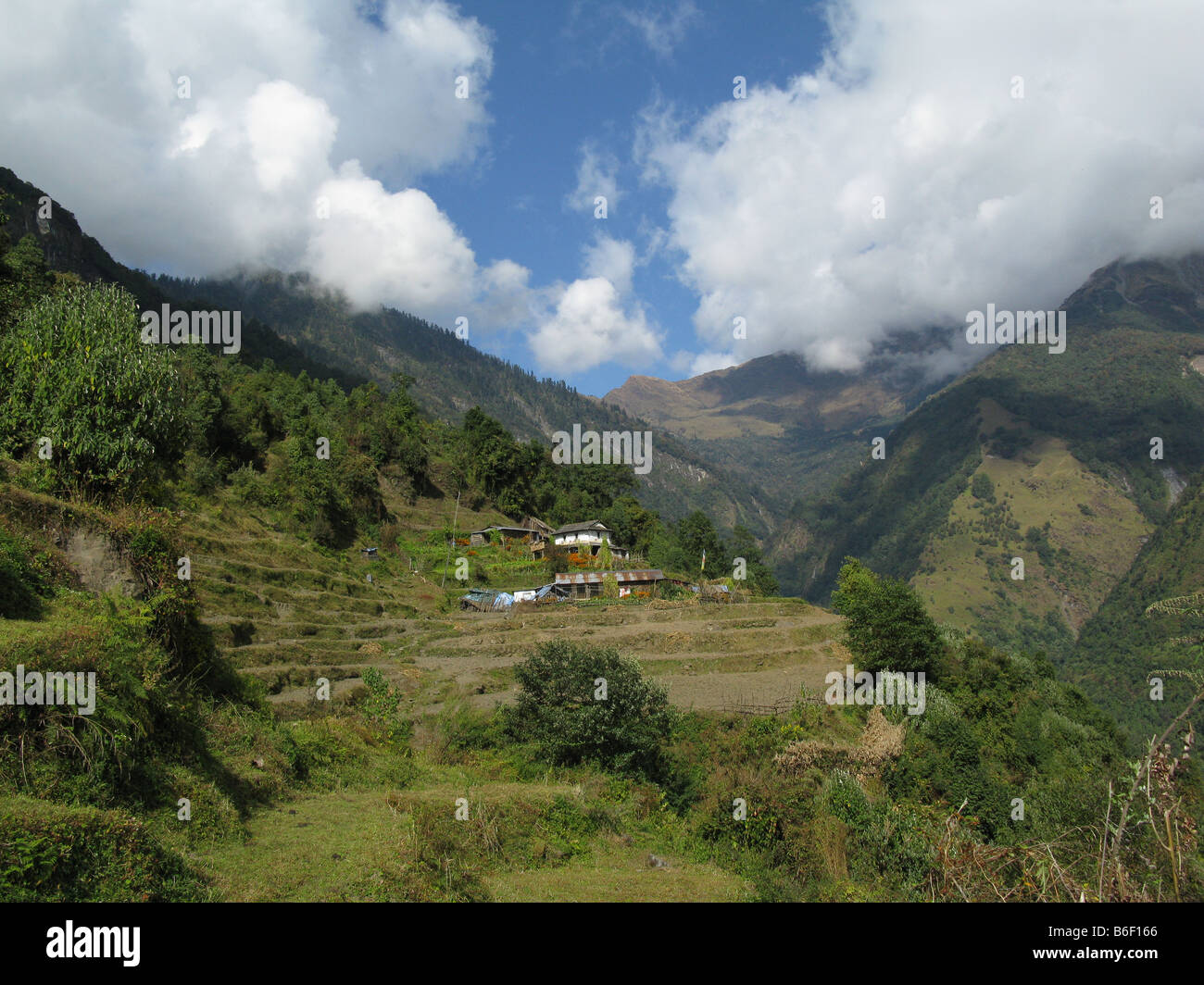 Mountain scenery near Tadapani, Annapurna foothills, Gandaki, Himalayas ...