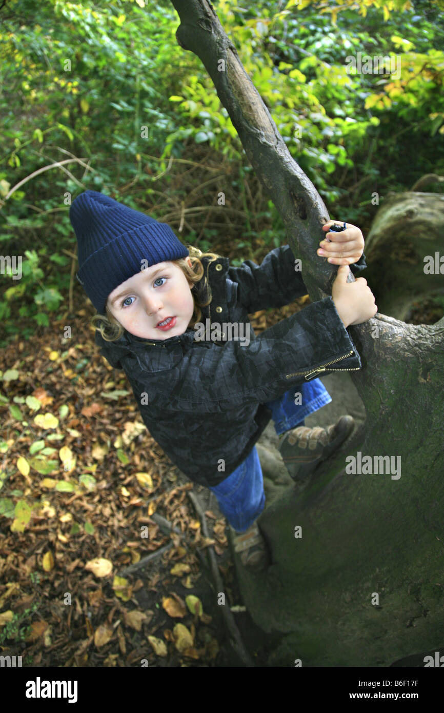 little boy climbing on a tree Stock Photo - Alamy