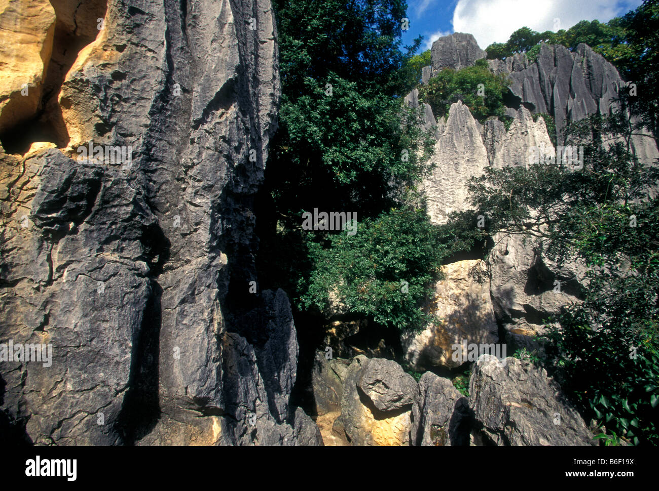 karst, limestone, limestone formation, rock formation, Shilin Stone ...
