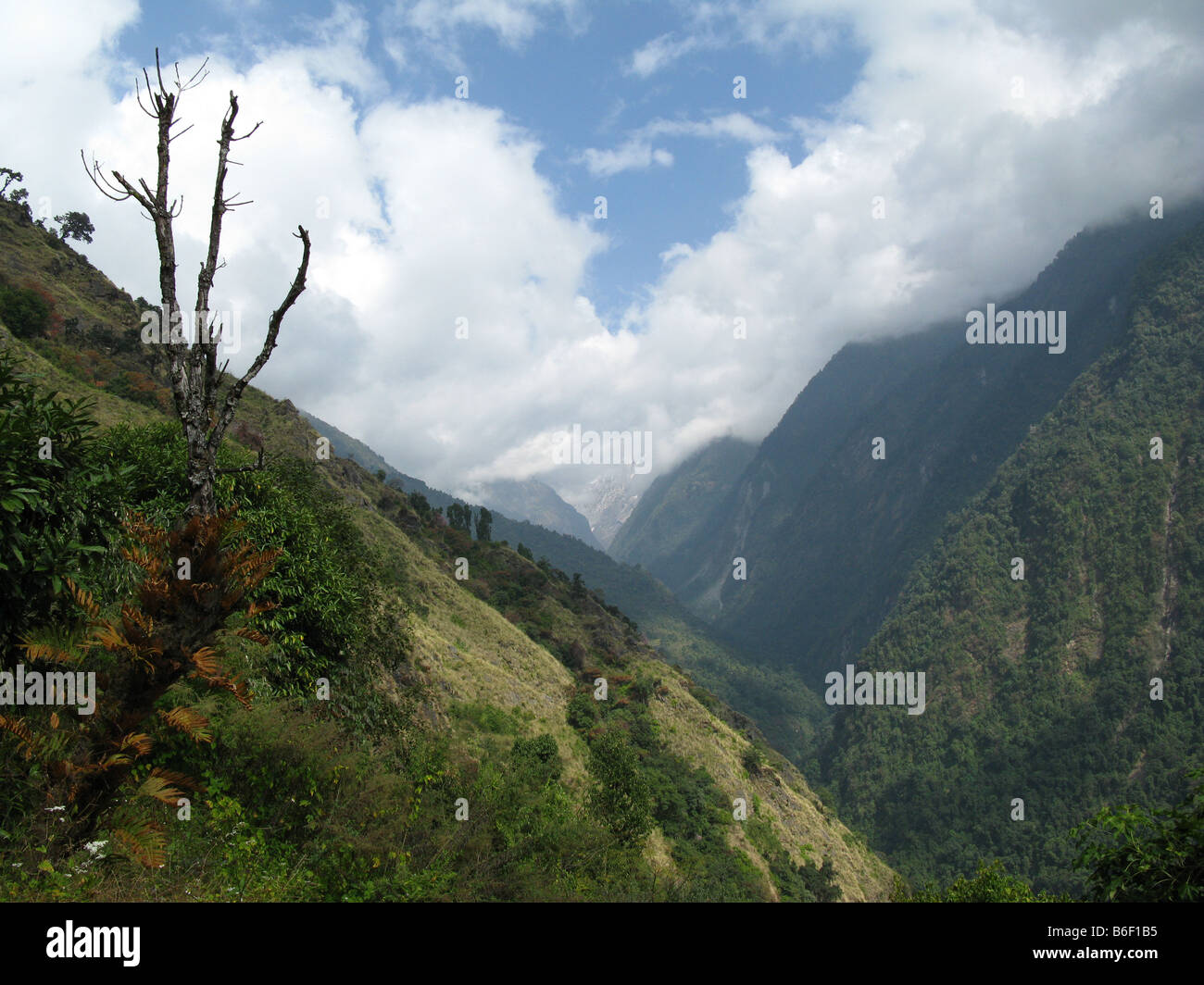 Madi Khola valley seen from between Chhomrong and Jhinu Danda ...