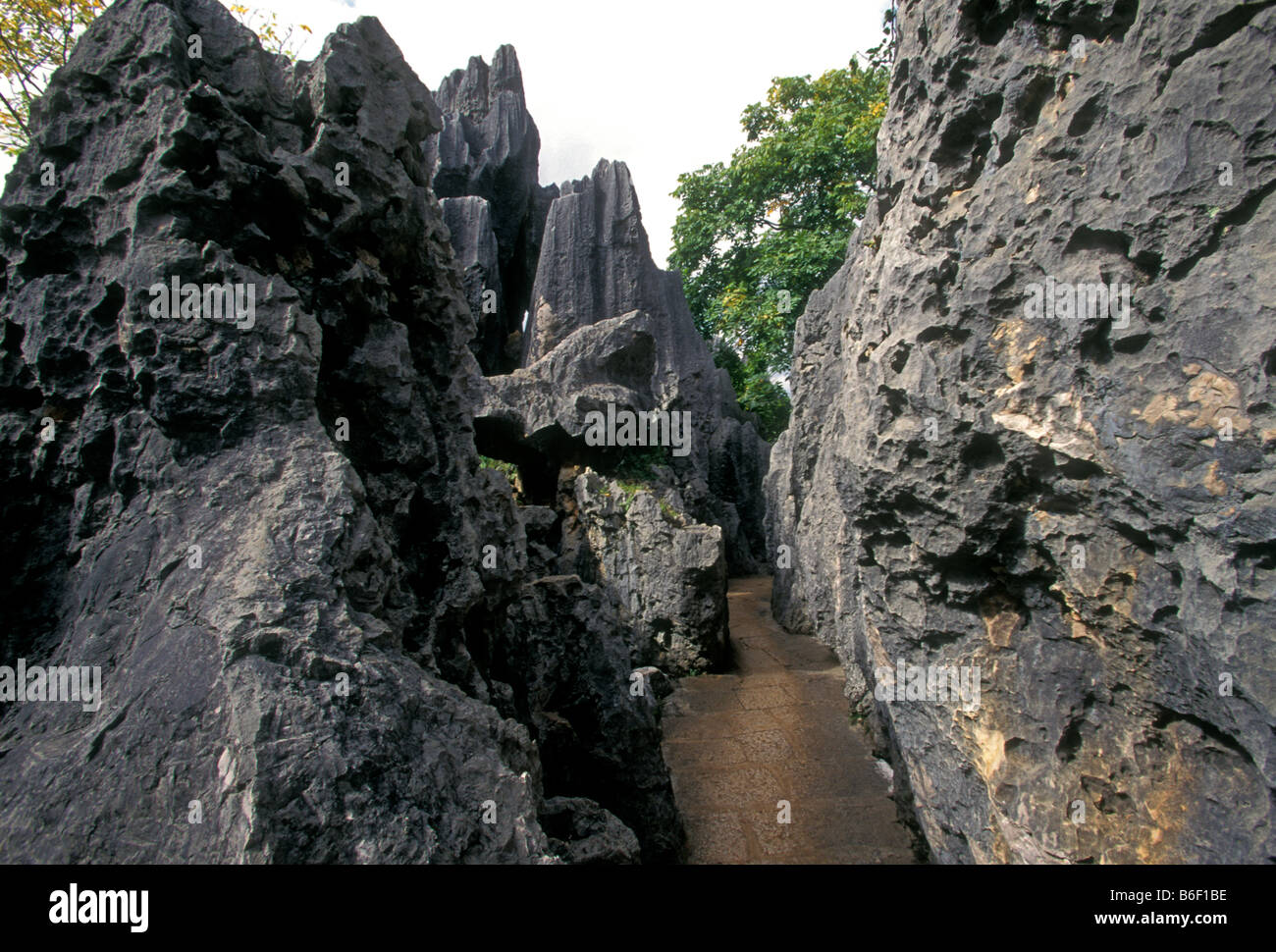 karst, limestone, limestone formation, rock formation, Shilin Stone ...