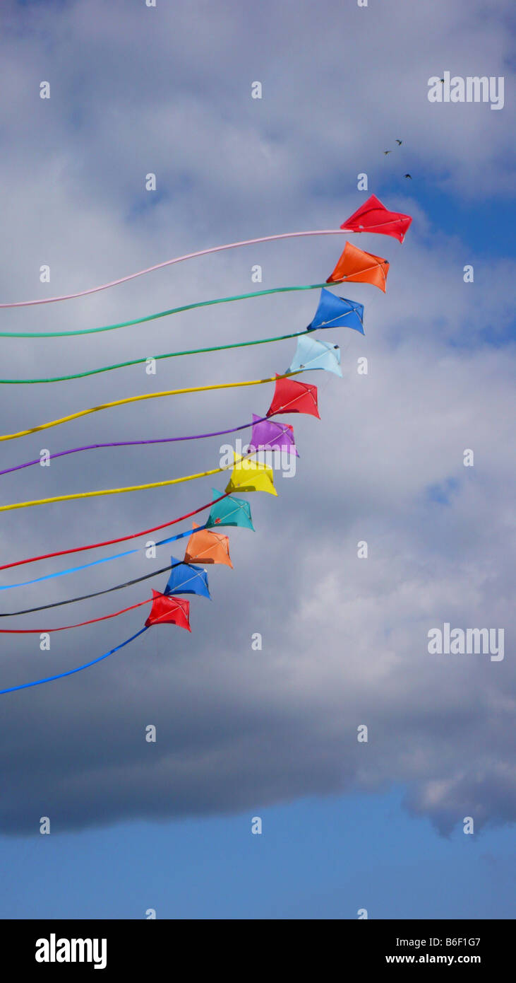 kites, eleven kites on top of each other, Germany Stock Photo - Alamy