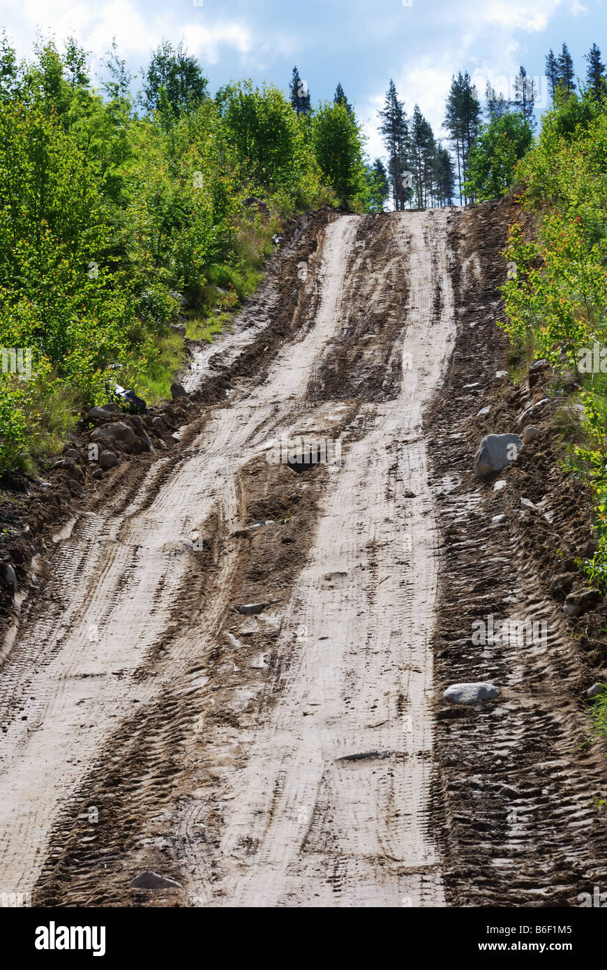 earth road in the forest going uphill Stock Photo - Alamy
