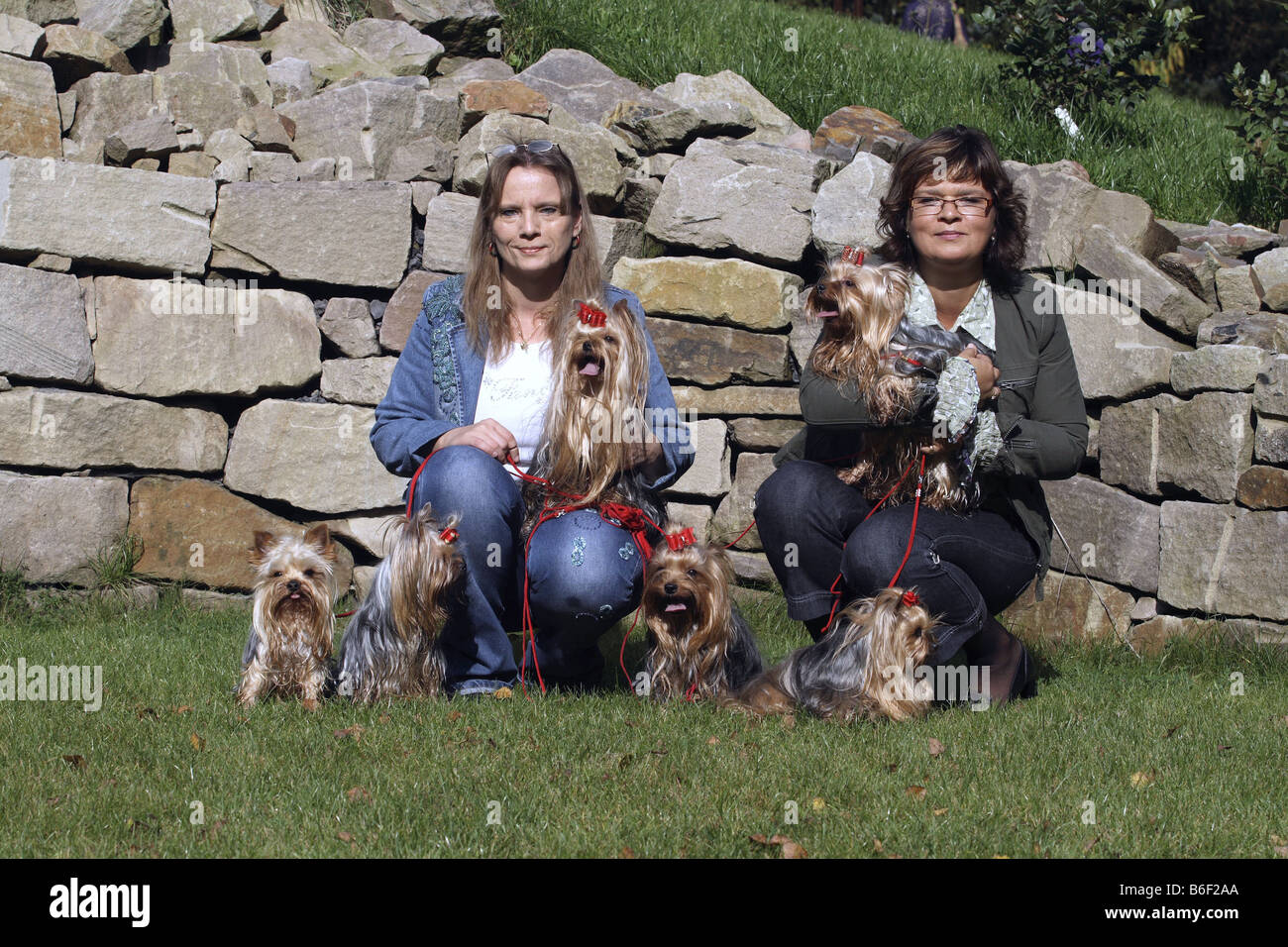 Two women with six dogs hi-res stock photography and images - Alamy