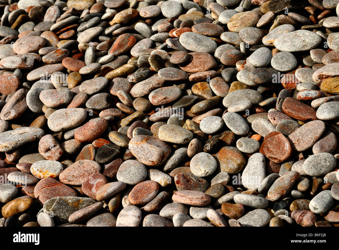Pebbles on a Beach Devon Britain Stock Photo - Alamy