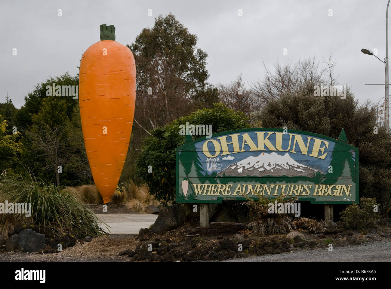 Ohakune giant carrot Stock Photo: 21230221 - Alamy